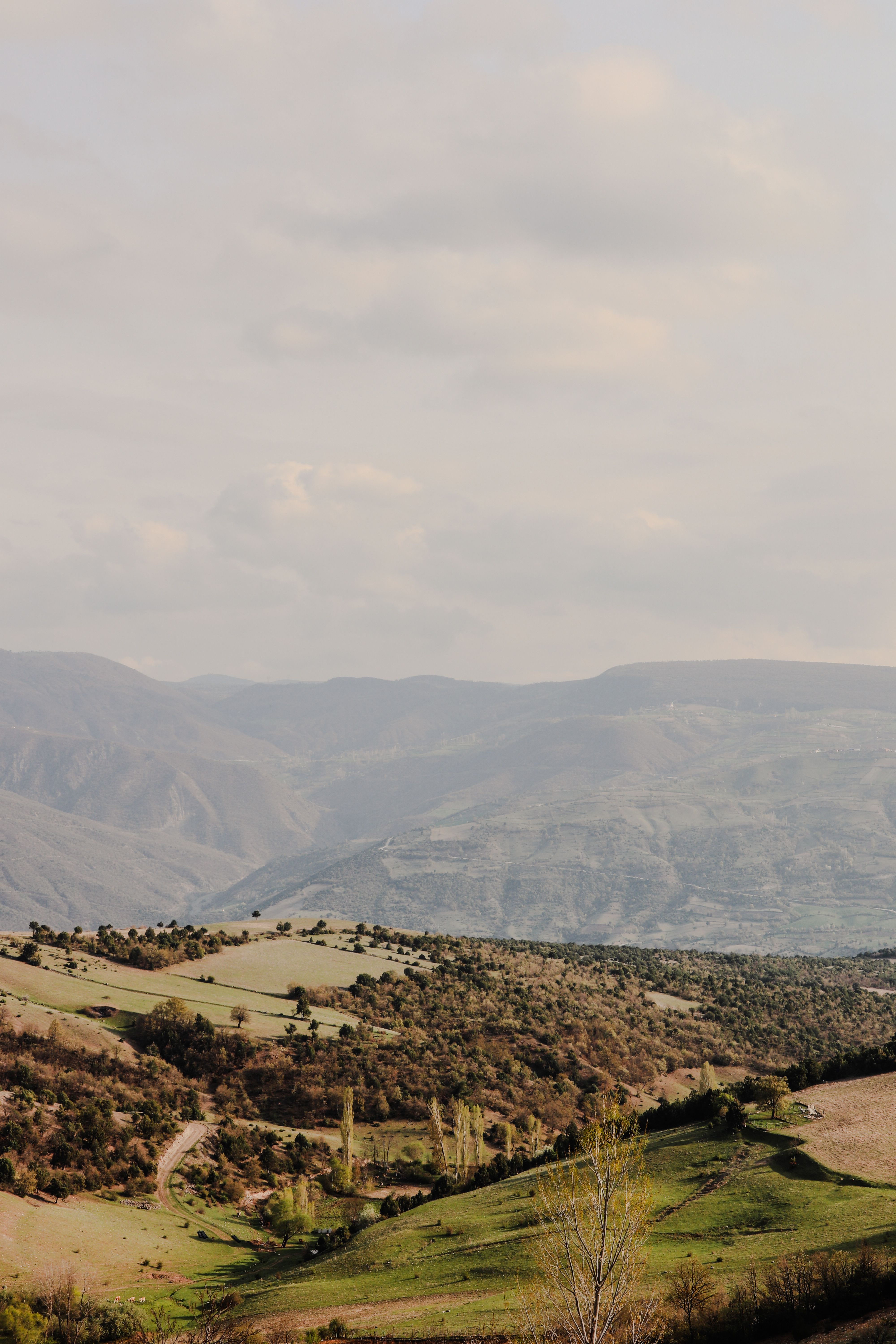 A view of a valley with mountains in the background · Free Stock Photo