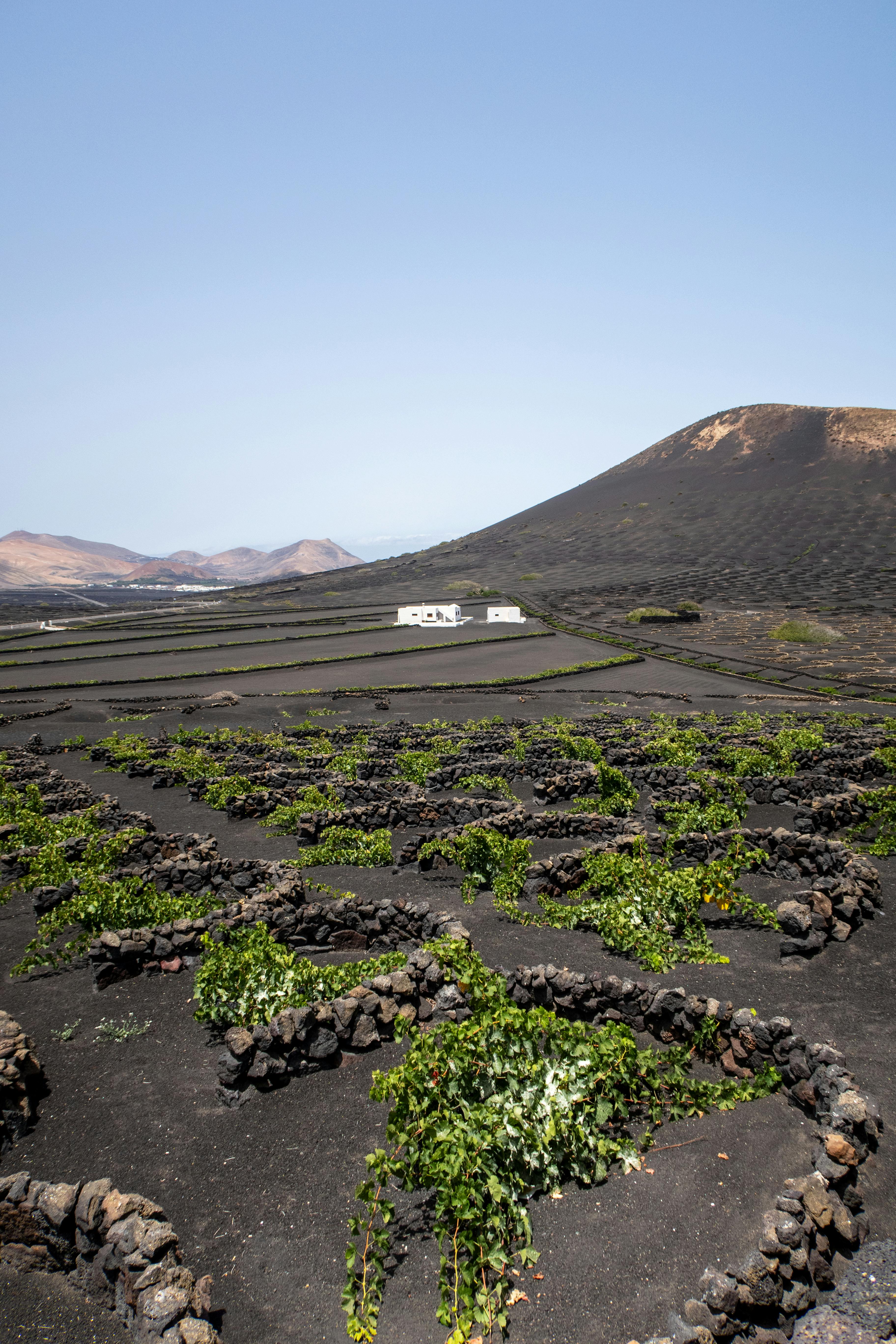 Unique Farming Photos, Download The BEST Free Unique Farming Stock ...