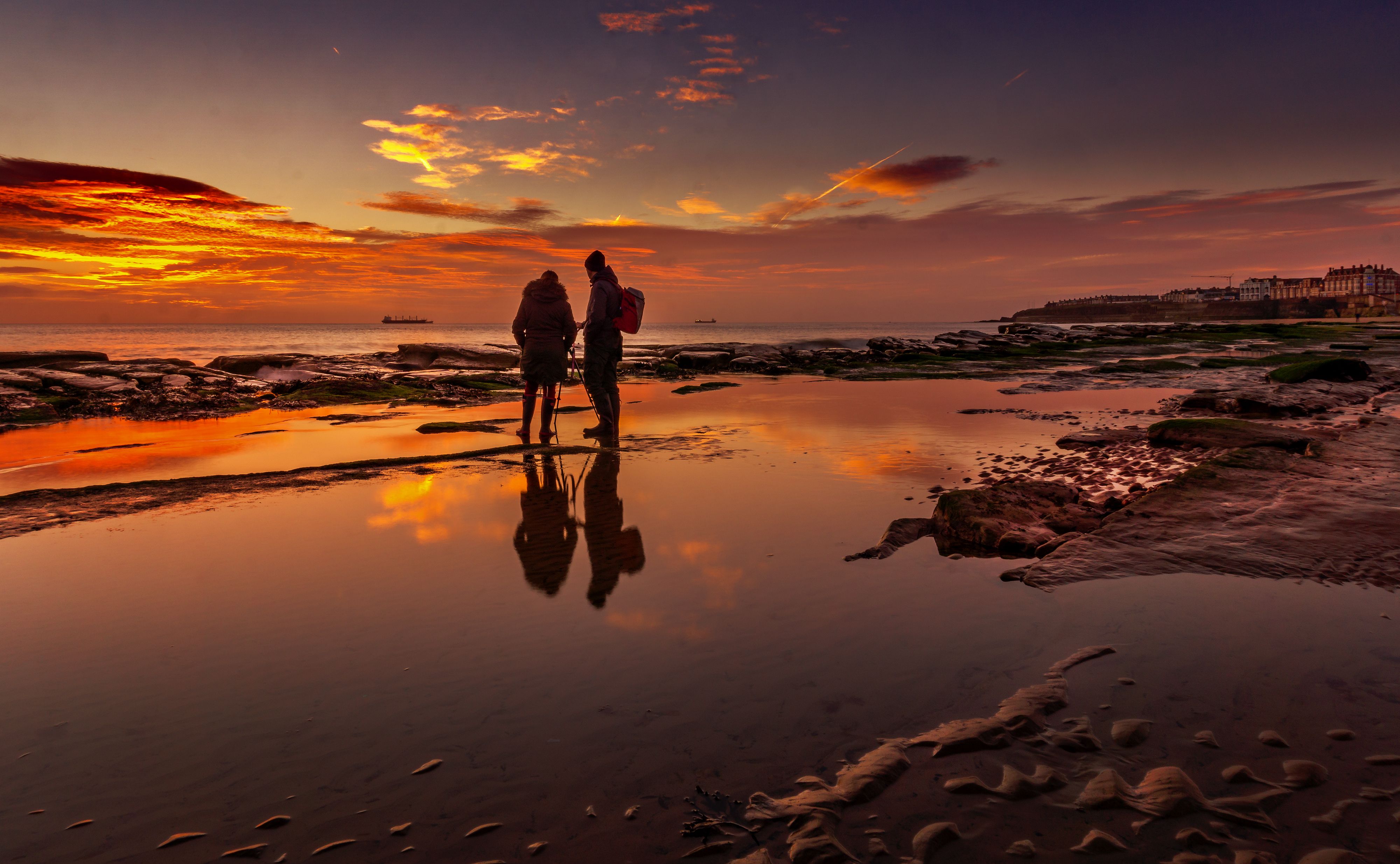 People Standing on Sea Shore at Sunset · Free Stock Photo