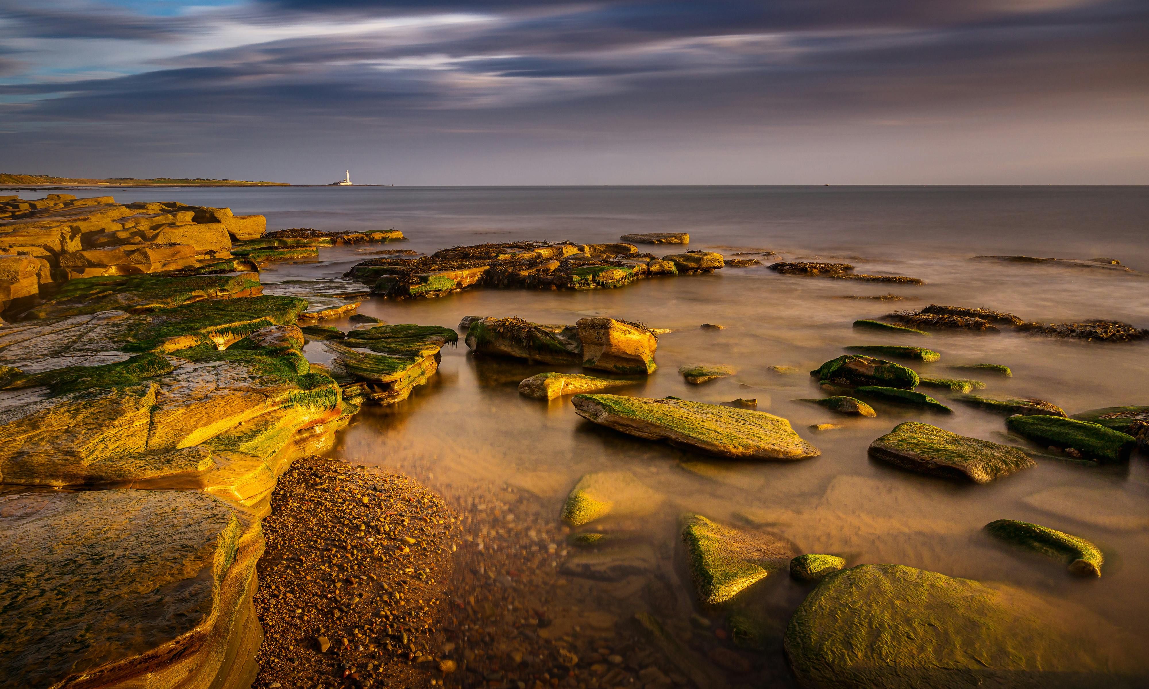 Sea Shore at Whitley Bay · Free Stock Photo