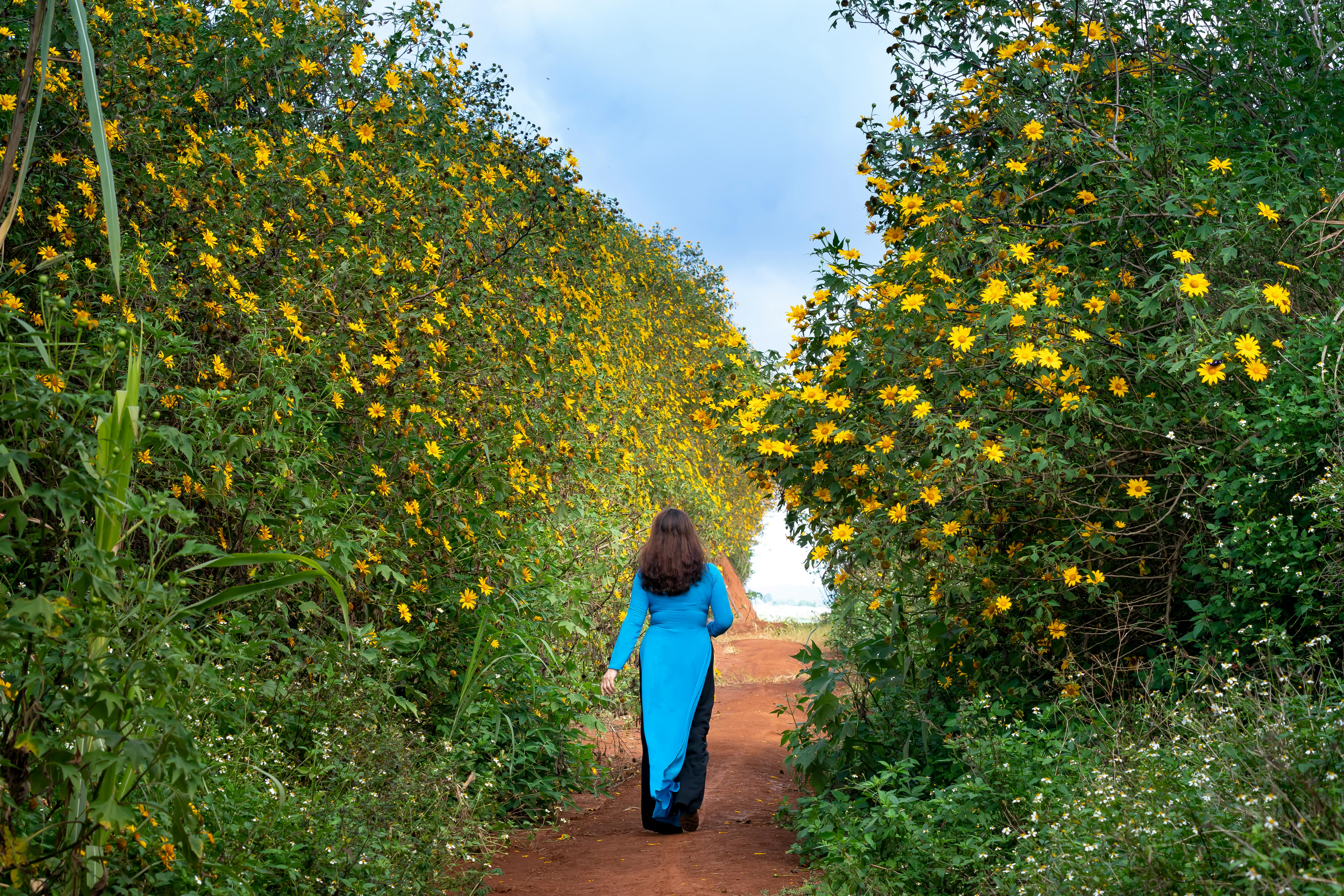 Woman Walking Beside Flowers · Free Stock Photo