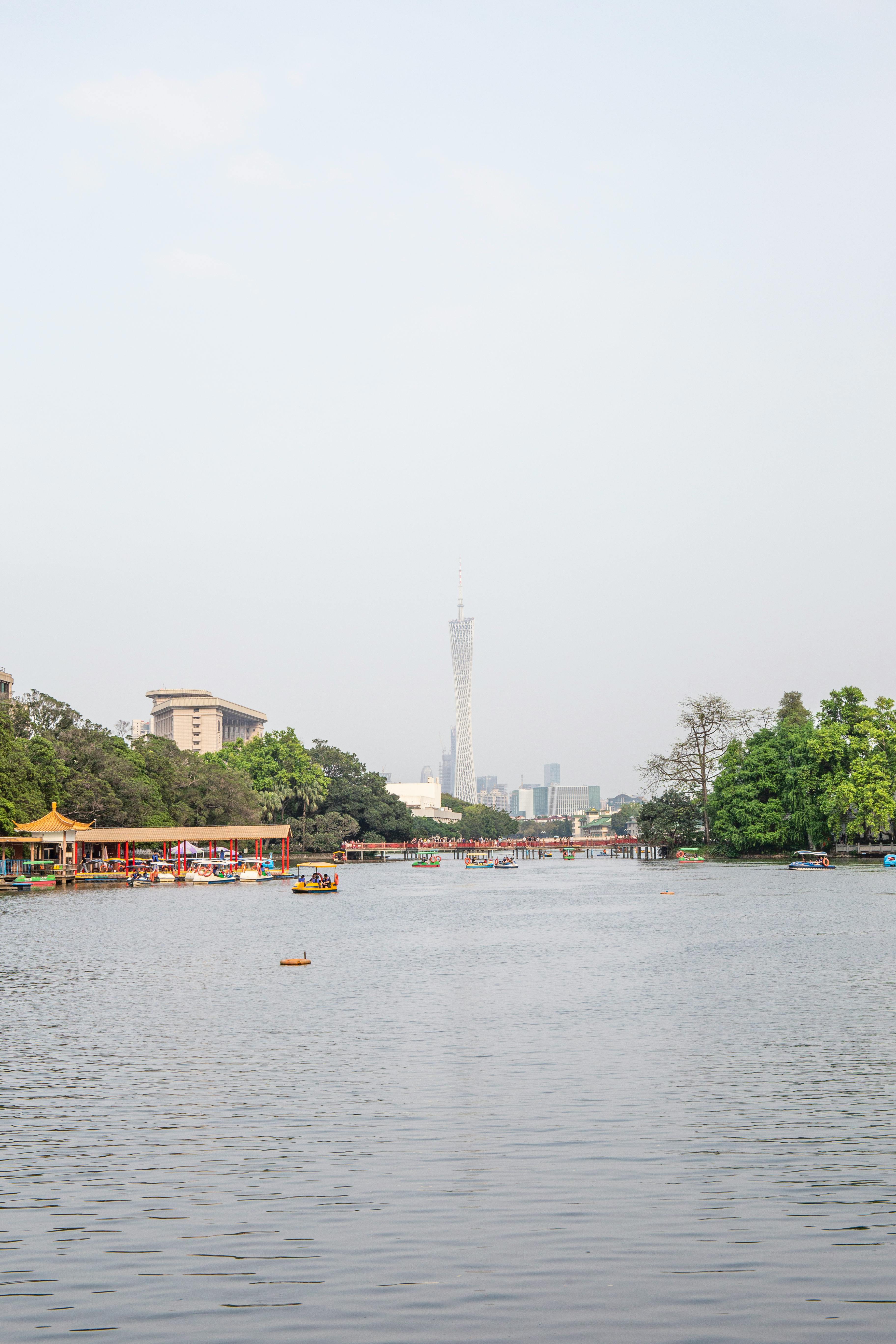 fei wang - Photography