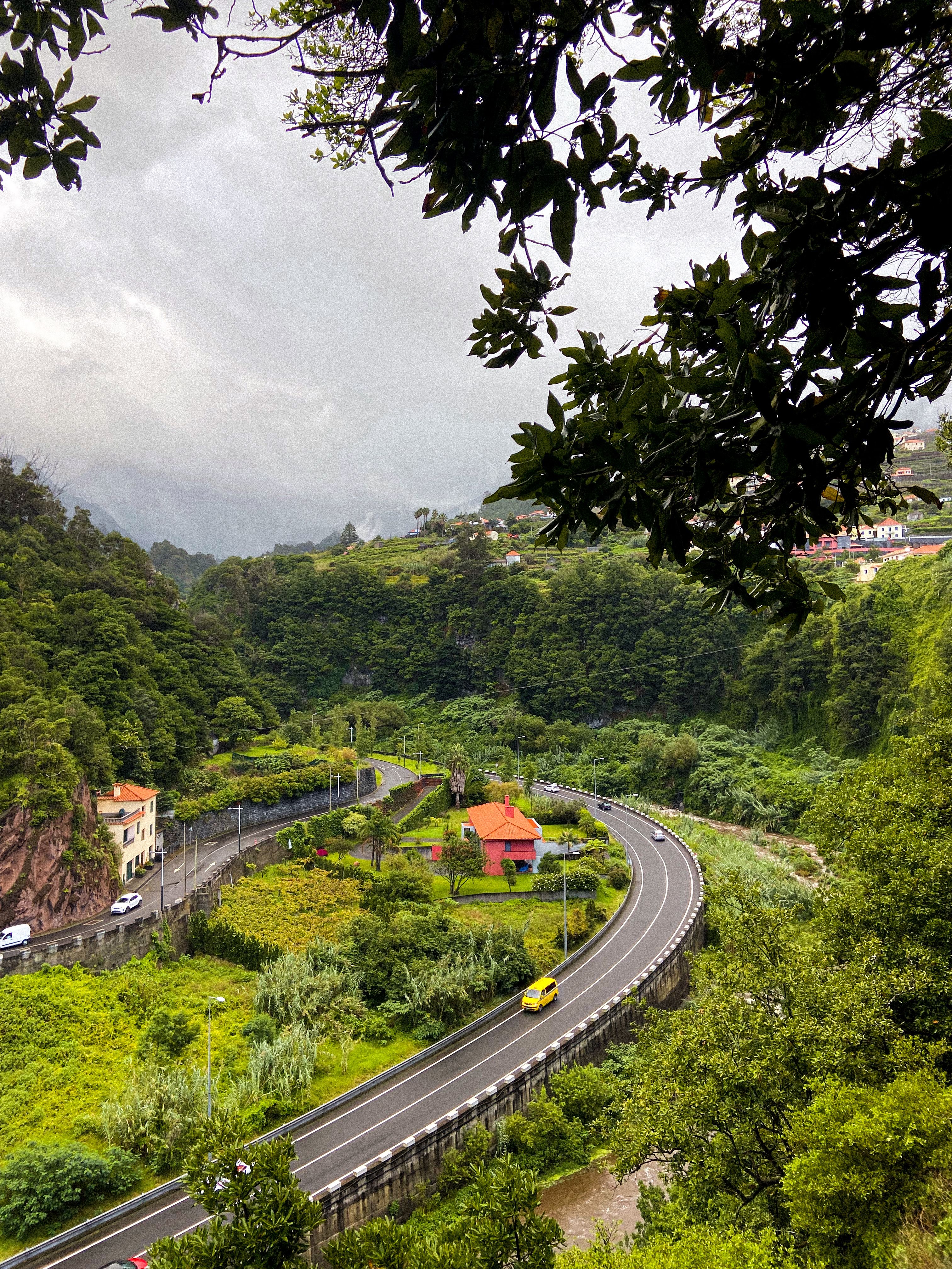 Road in Village in Forest · Free Stock Photo