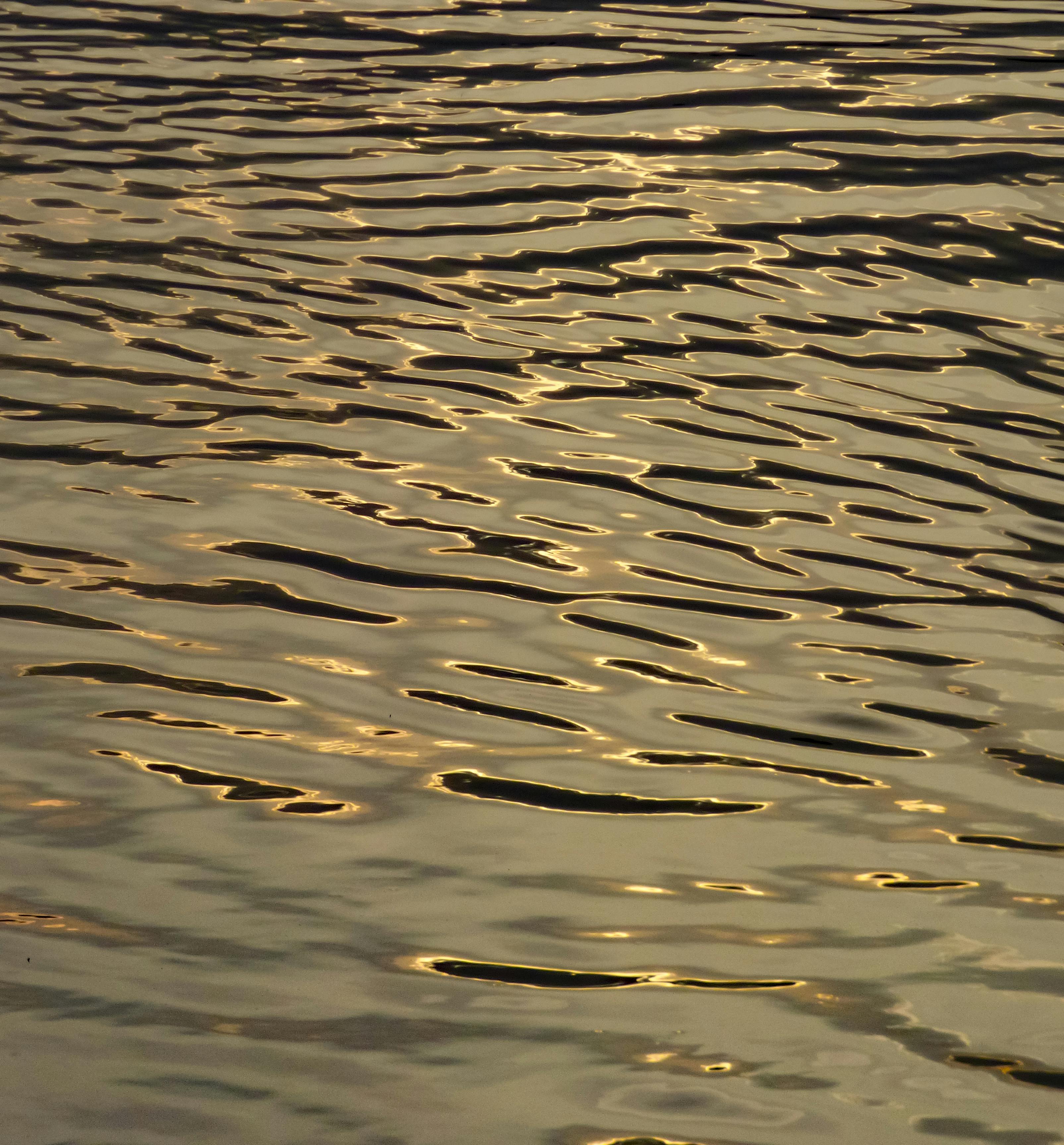 Saeed Ahmed Abbasi - Photography