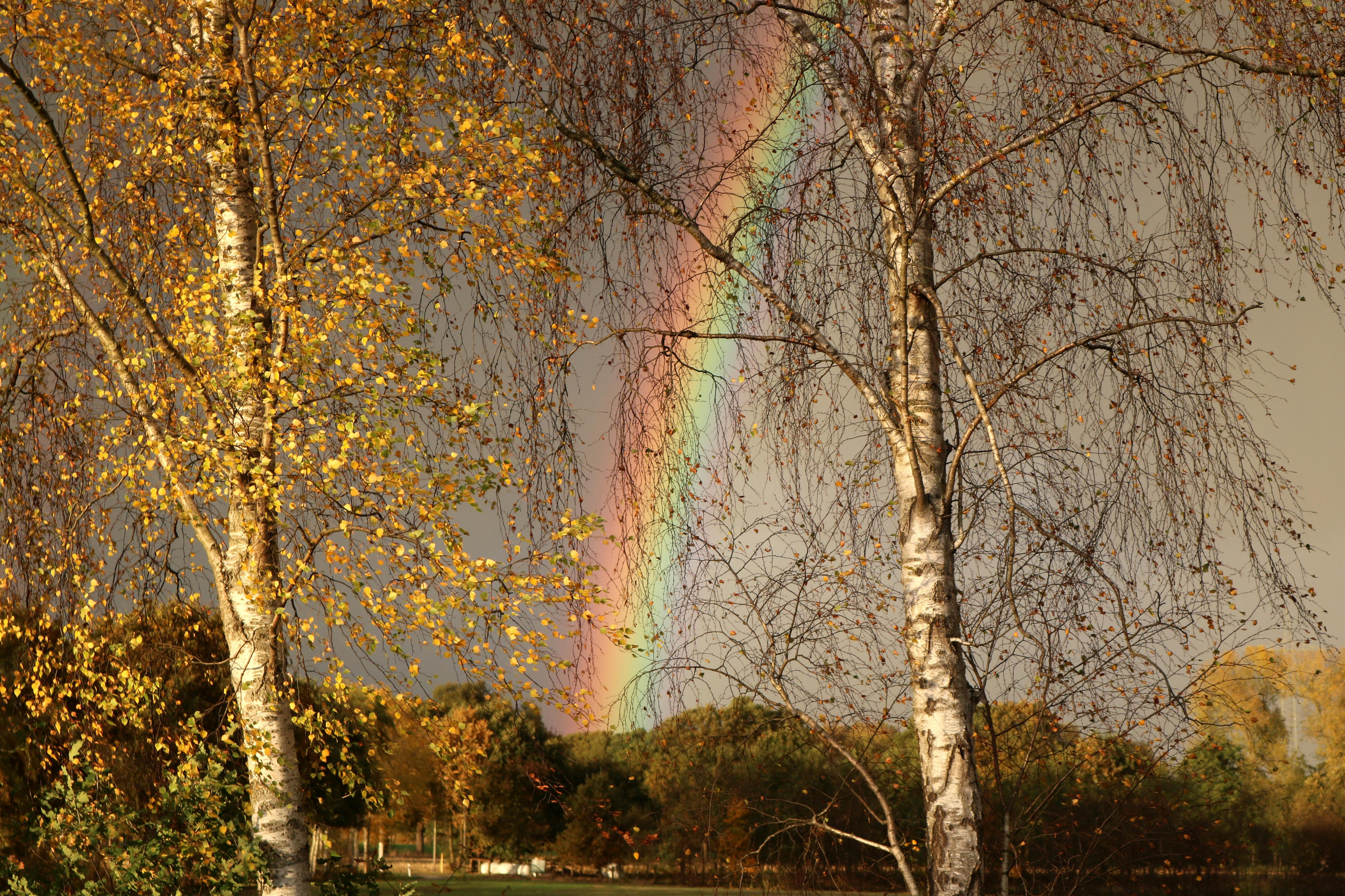 Thomas Hellmann - Fotografie