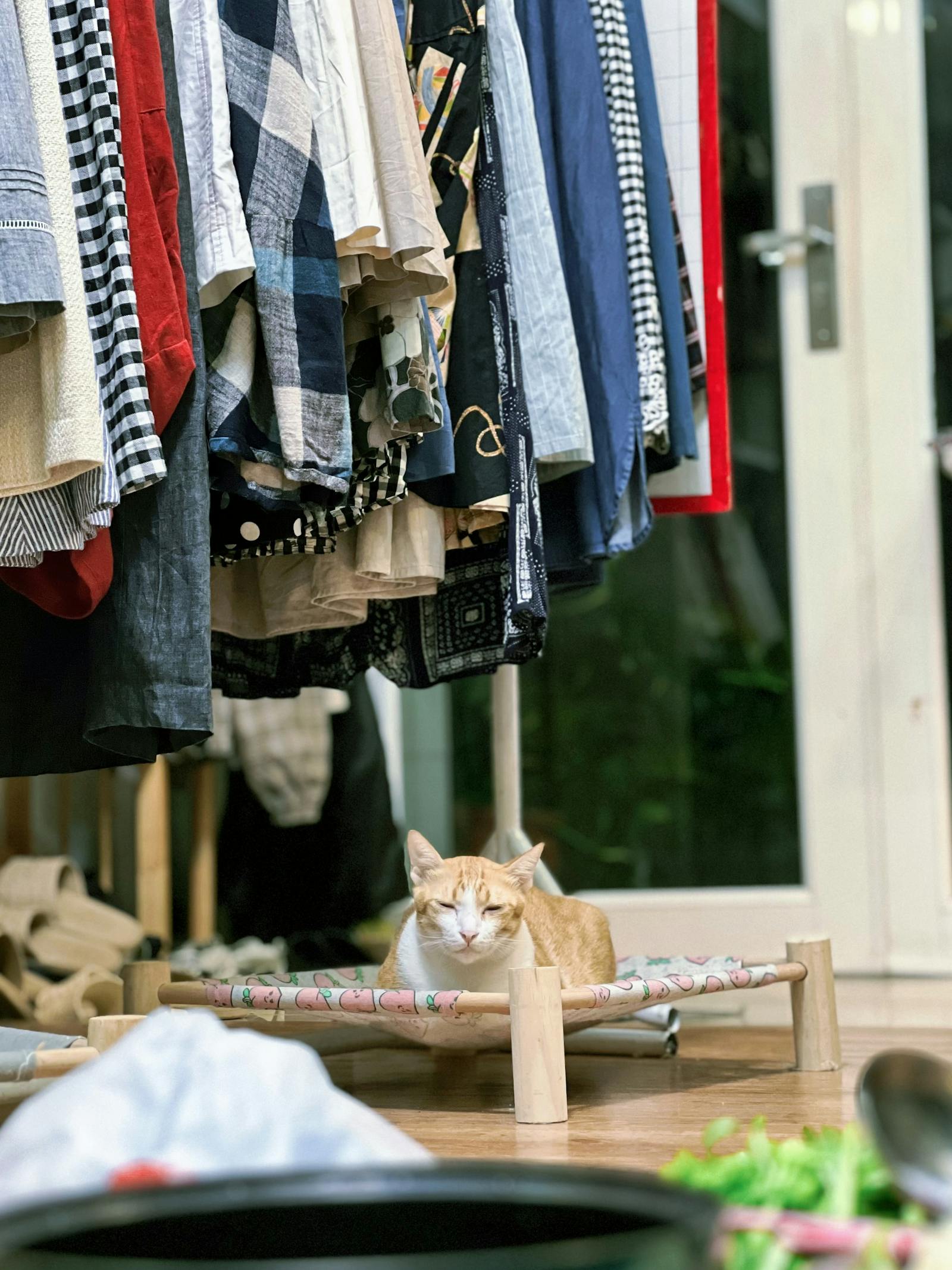 1,000+ Best Hanger Photos · 100% Free Download · Pexels Stock Photos