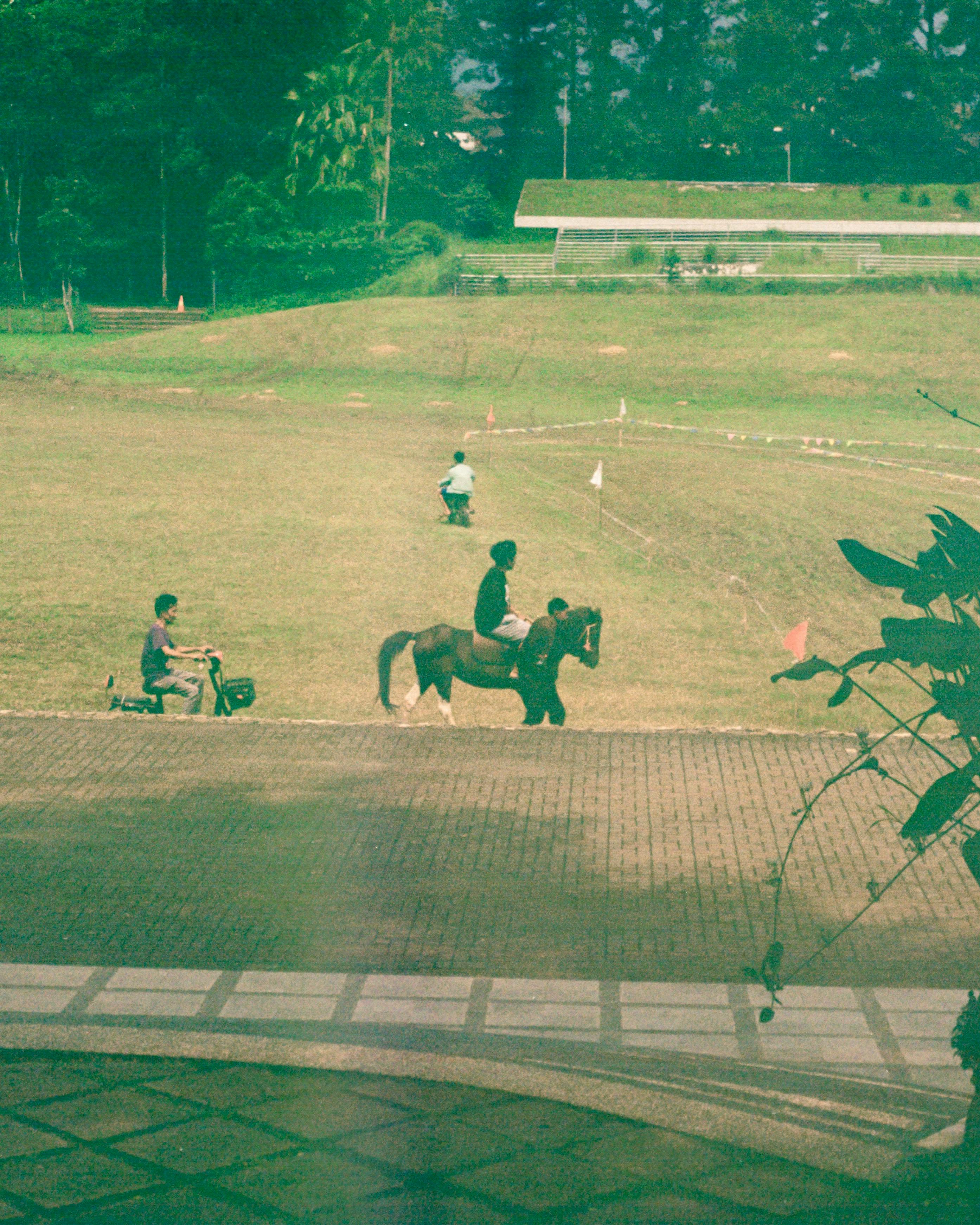 Matthew Gregory - 写真