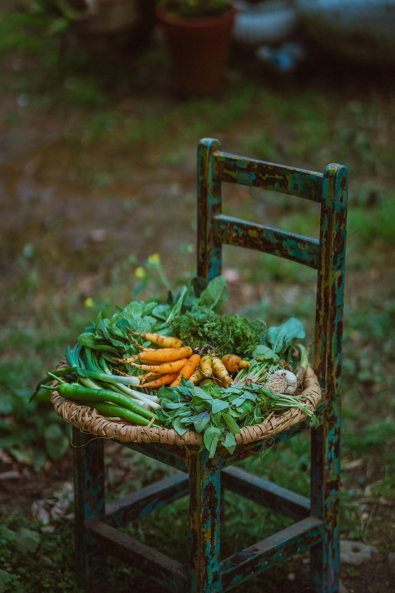 Farm Fresh Photos, Download The BEST Free Farm Fresh Stock Photos & HD ...