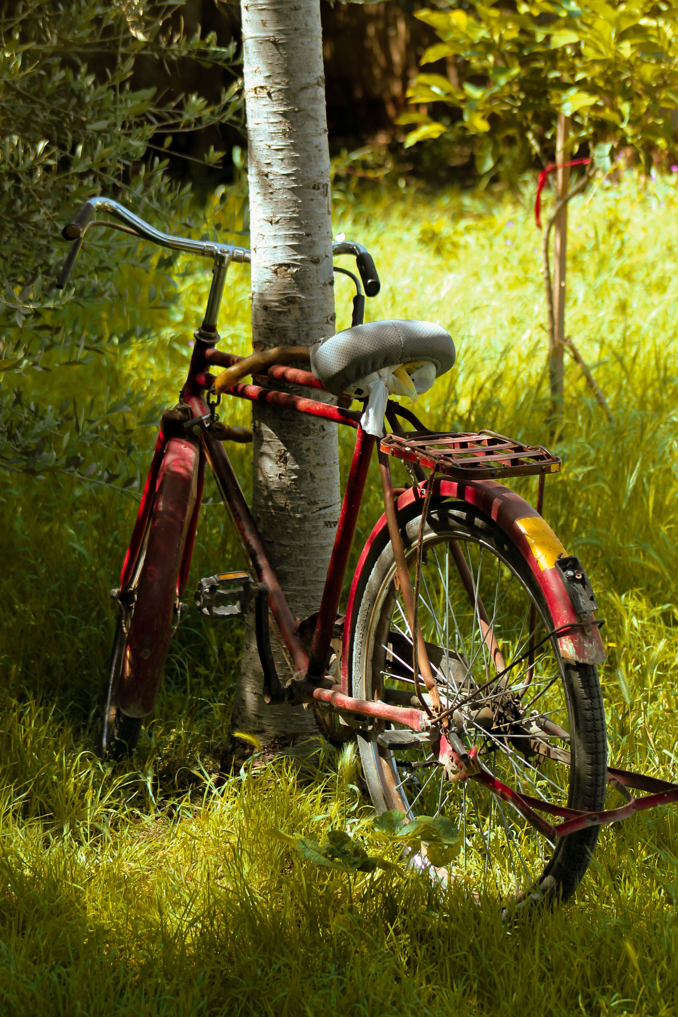 bisiklet · Free Stock Photo
