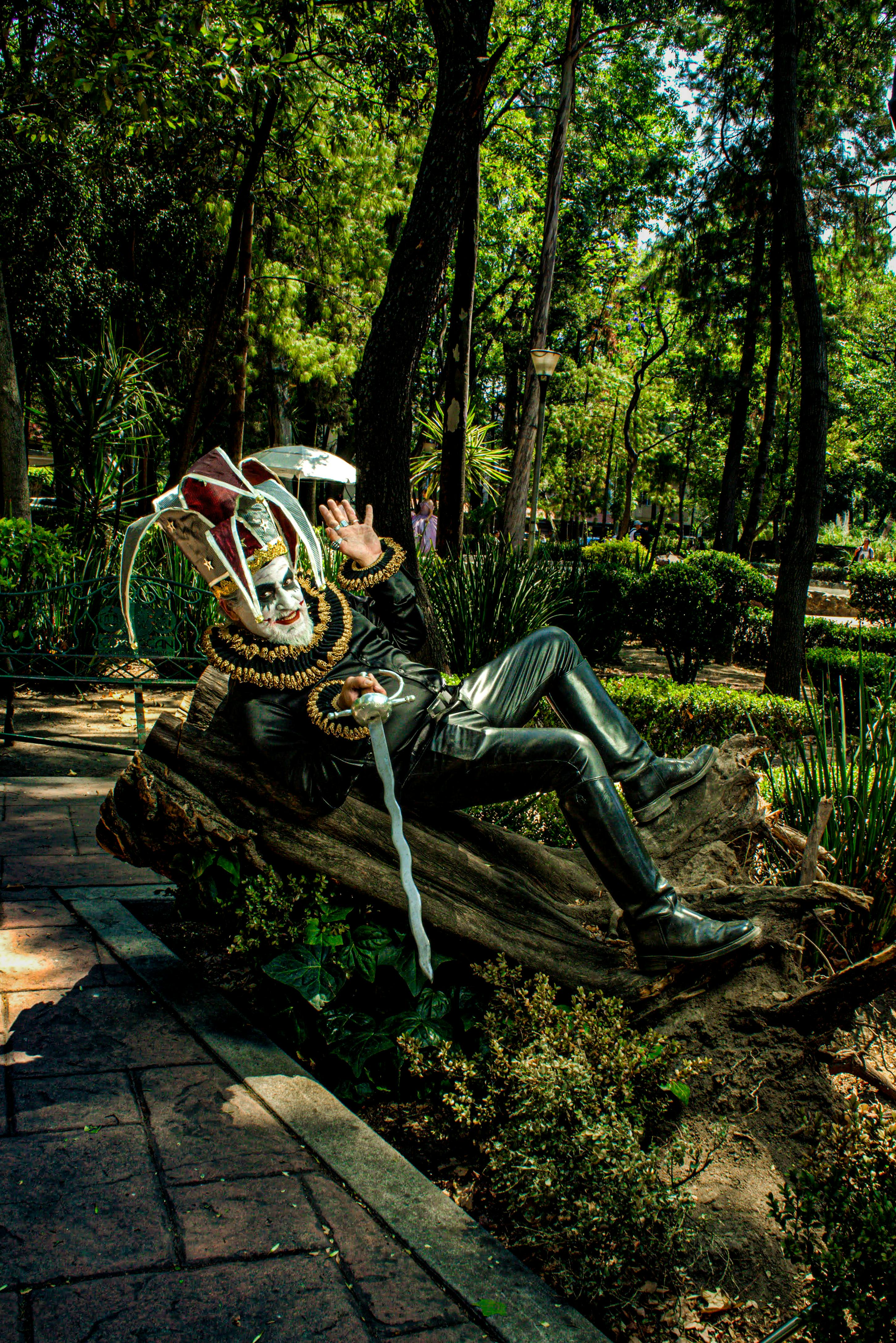 Photo of a Man in a Buffoon Costume Posing in a Park · Free Stock Photo