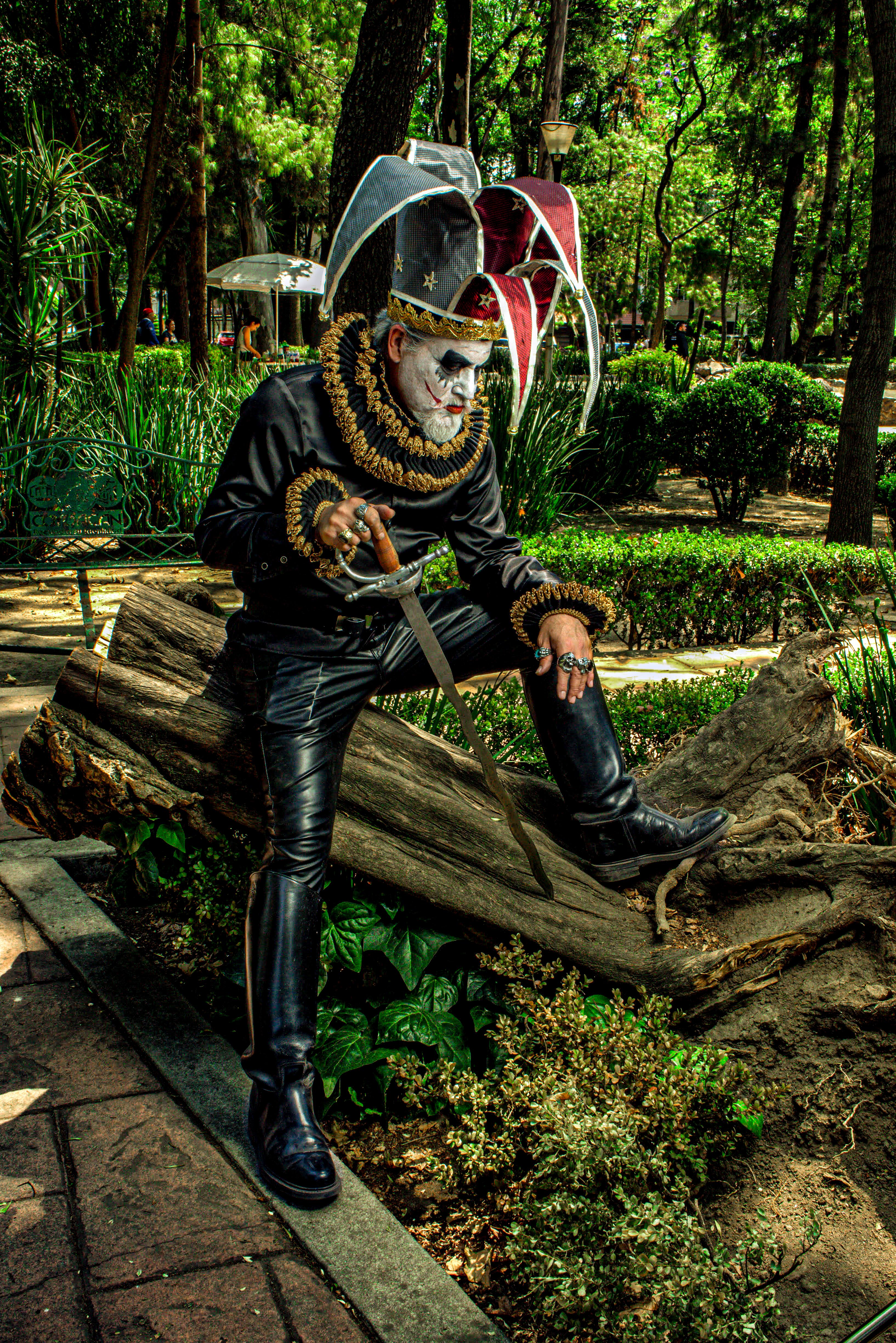 Photo of a Man in a Buffoon Costume Posing in a Park · Free Stock Photo