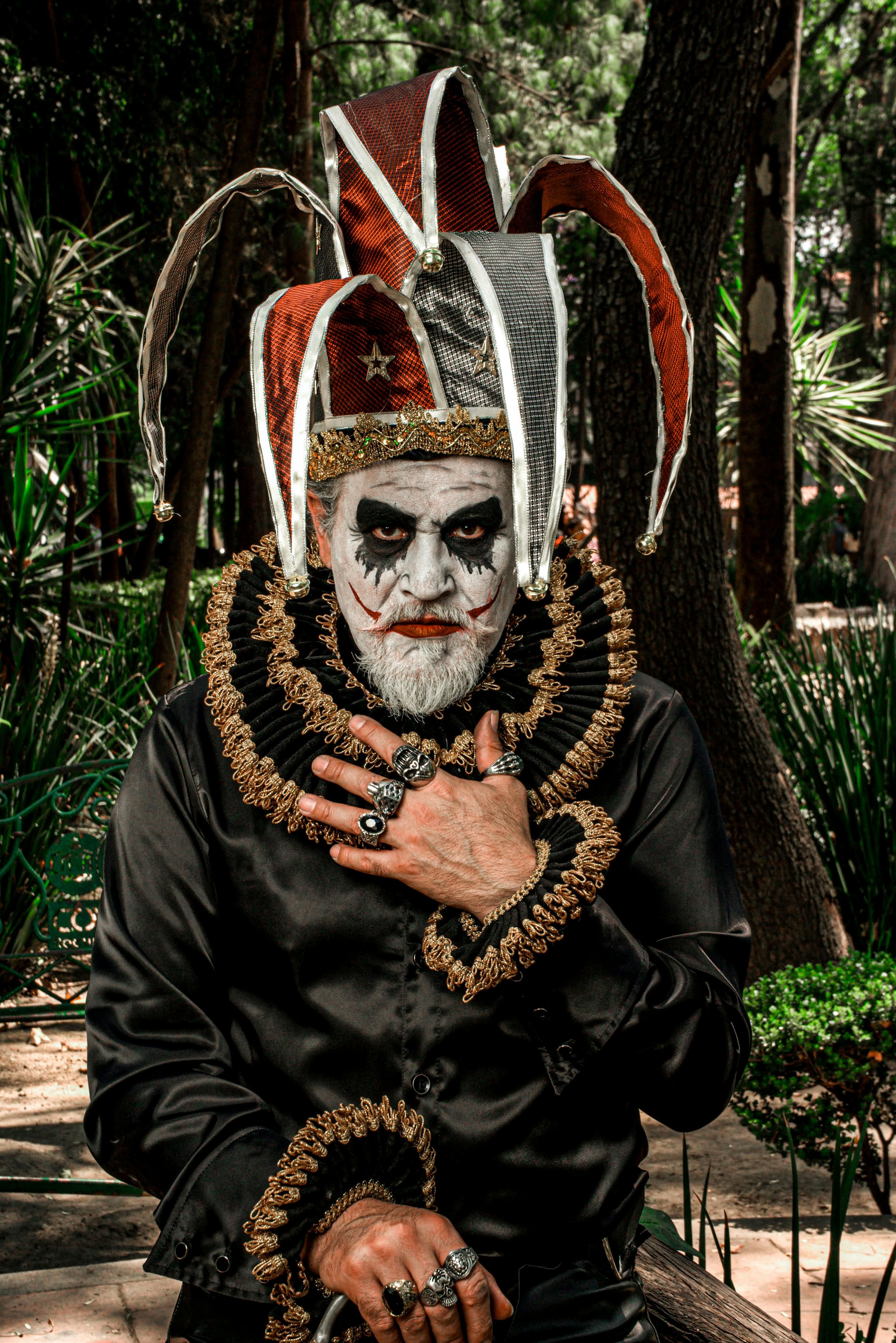 Bearded Man in Jester Costume Sitting in Park · Free Stock Photo
