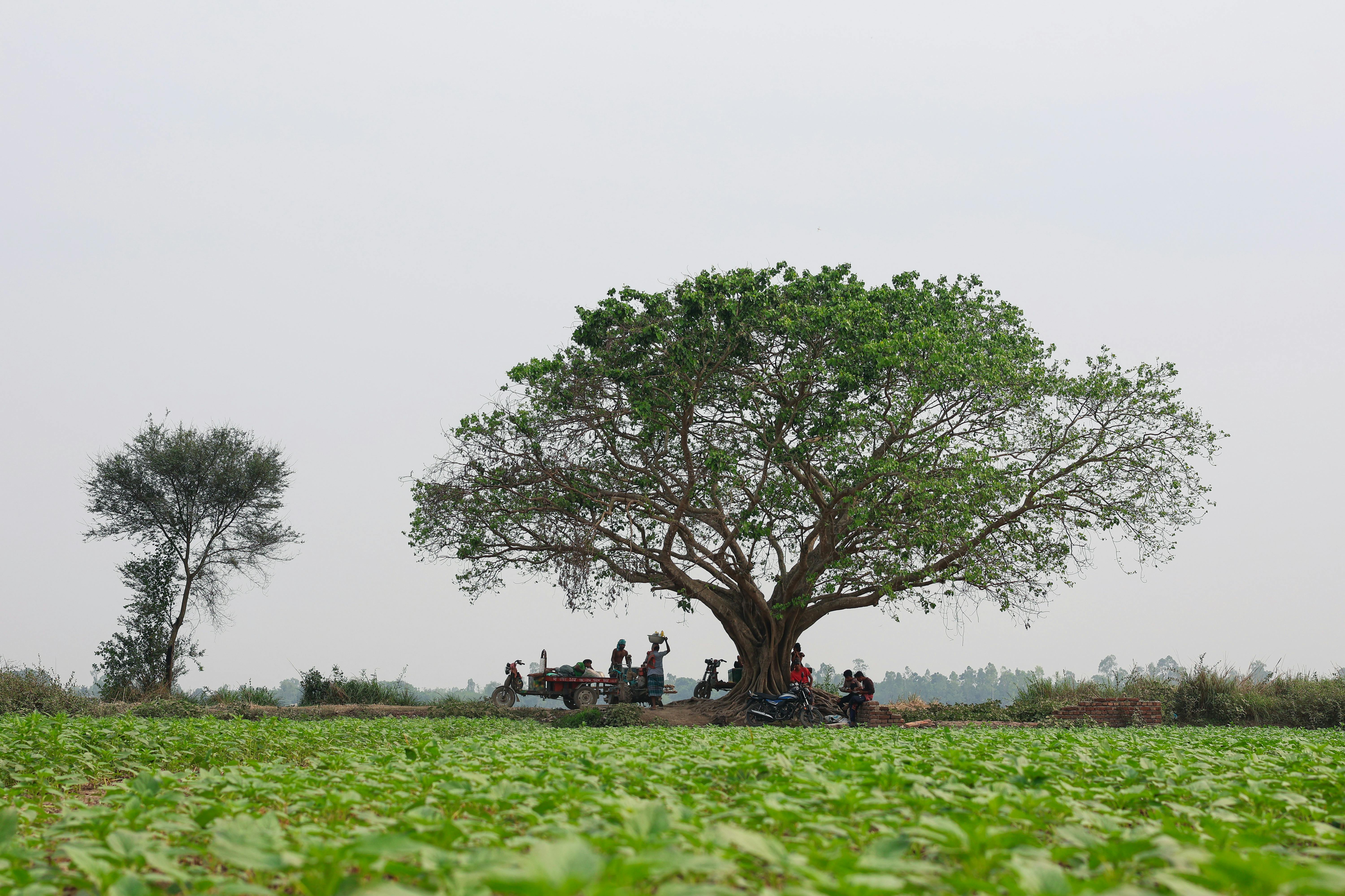 Farmers Working in Countryside · Free Stock Photo