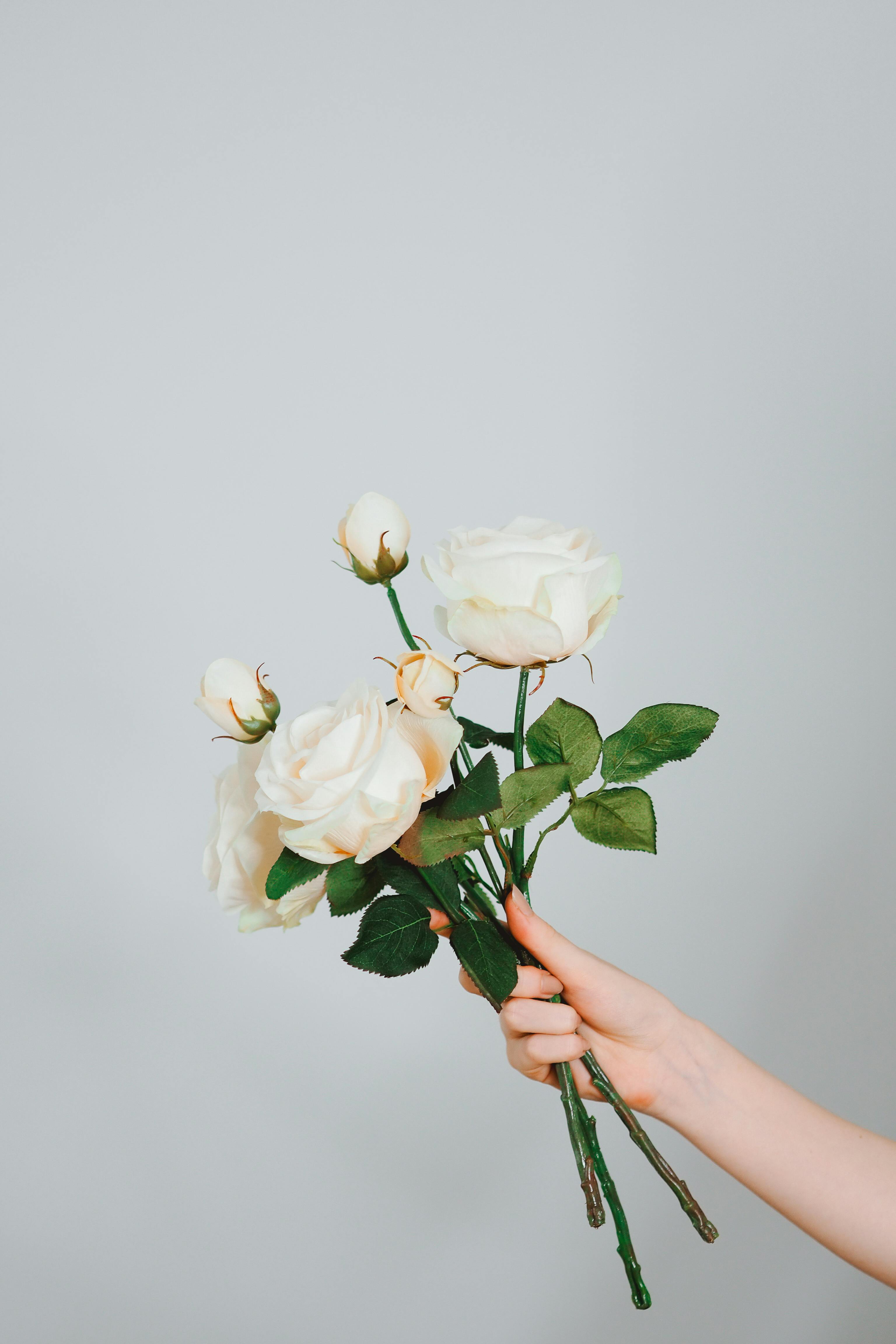 Woman Hand Holding Flowers Bouquet · Free Stock Photo