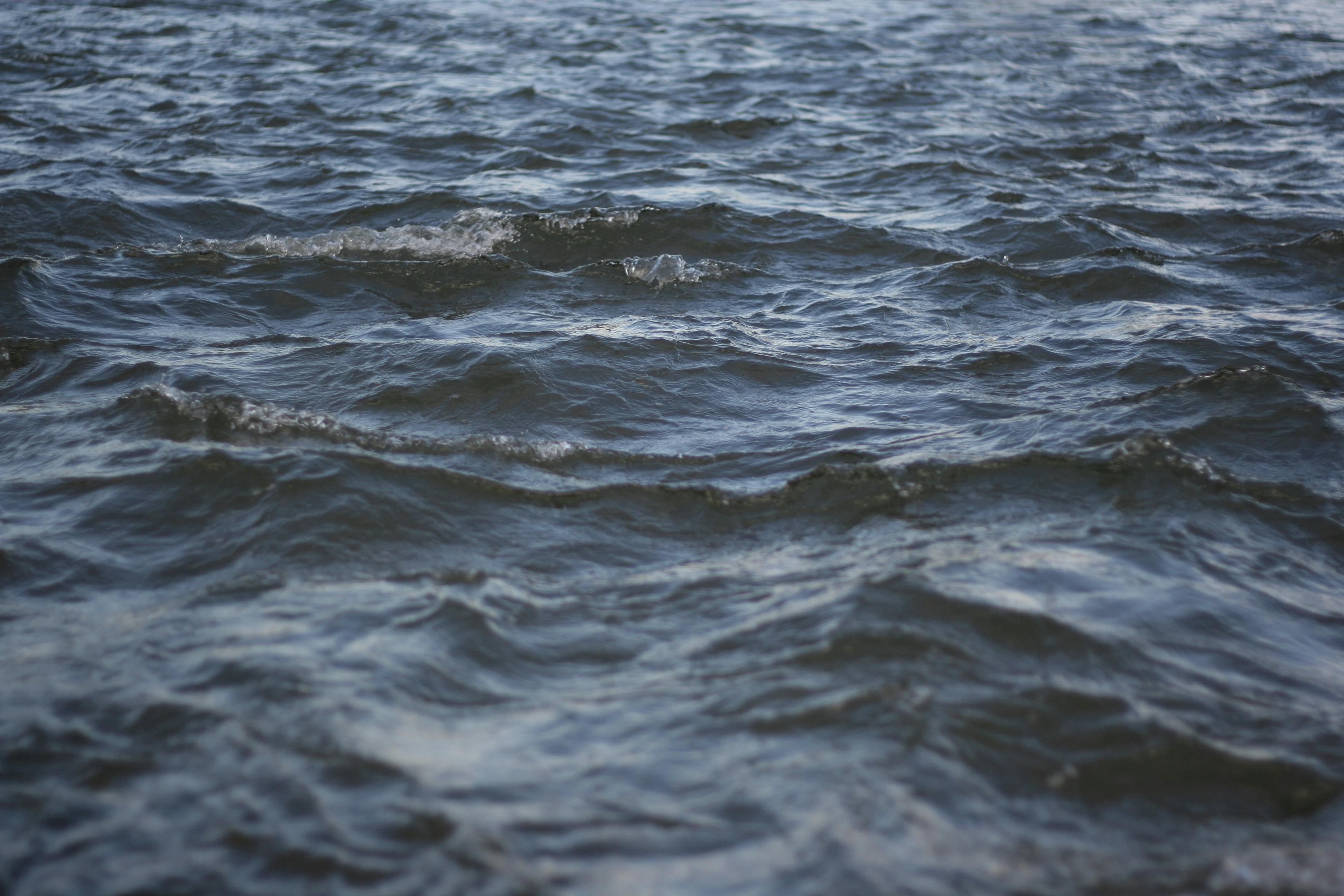 Water surface · Free Stock Photo