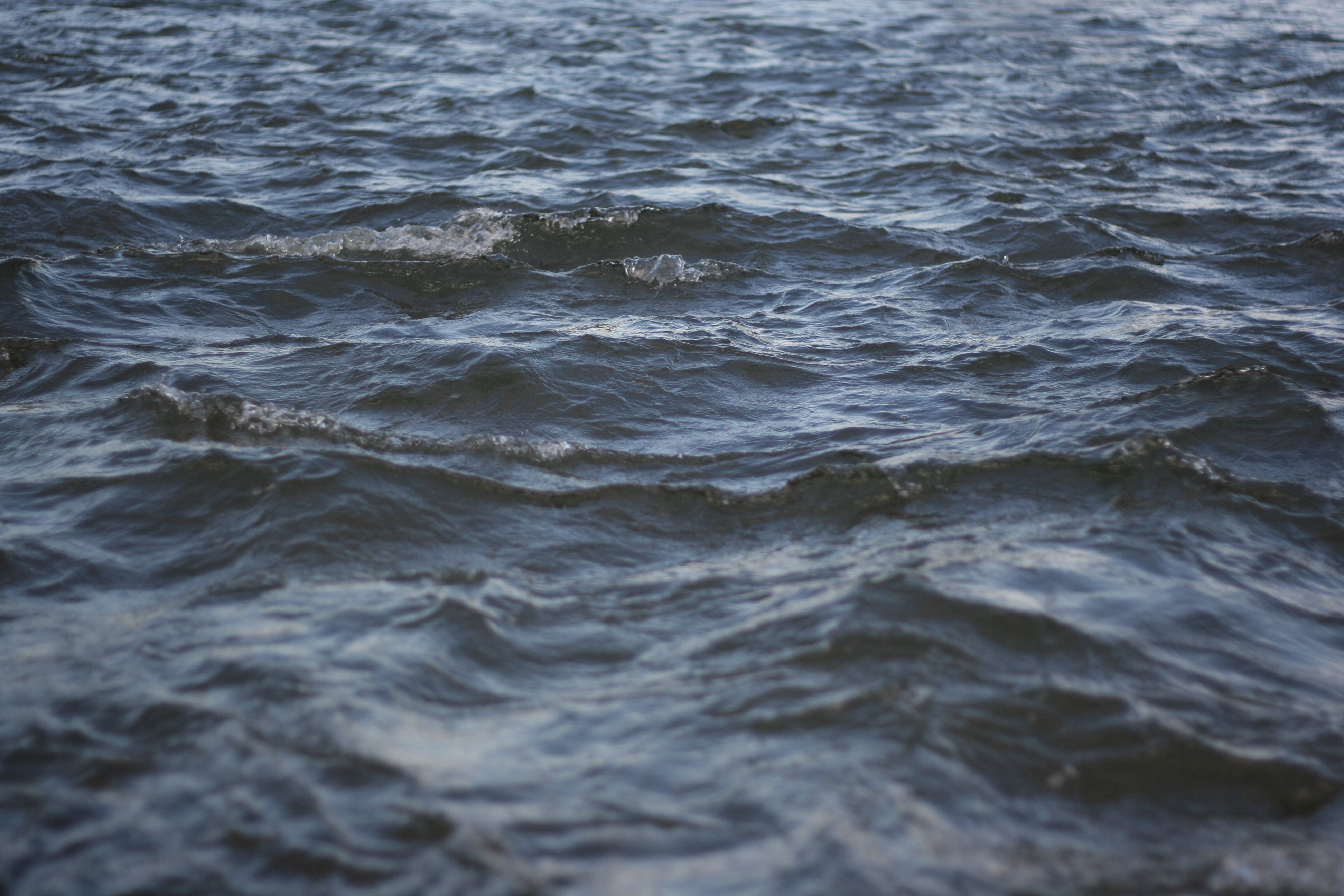 Surface of Dark Body of Water · Free Stock Photo