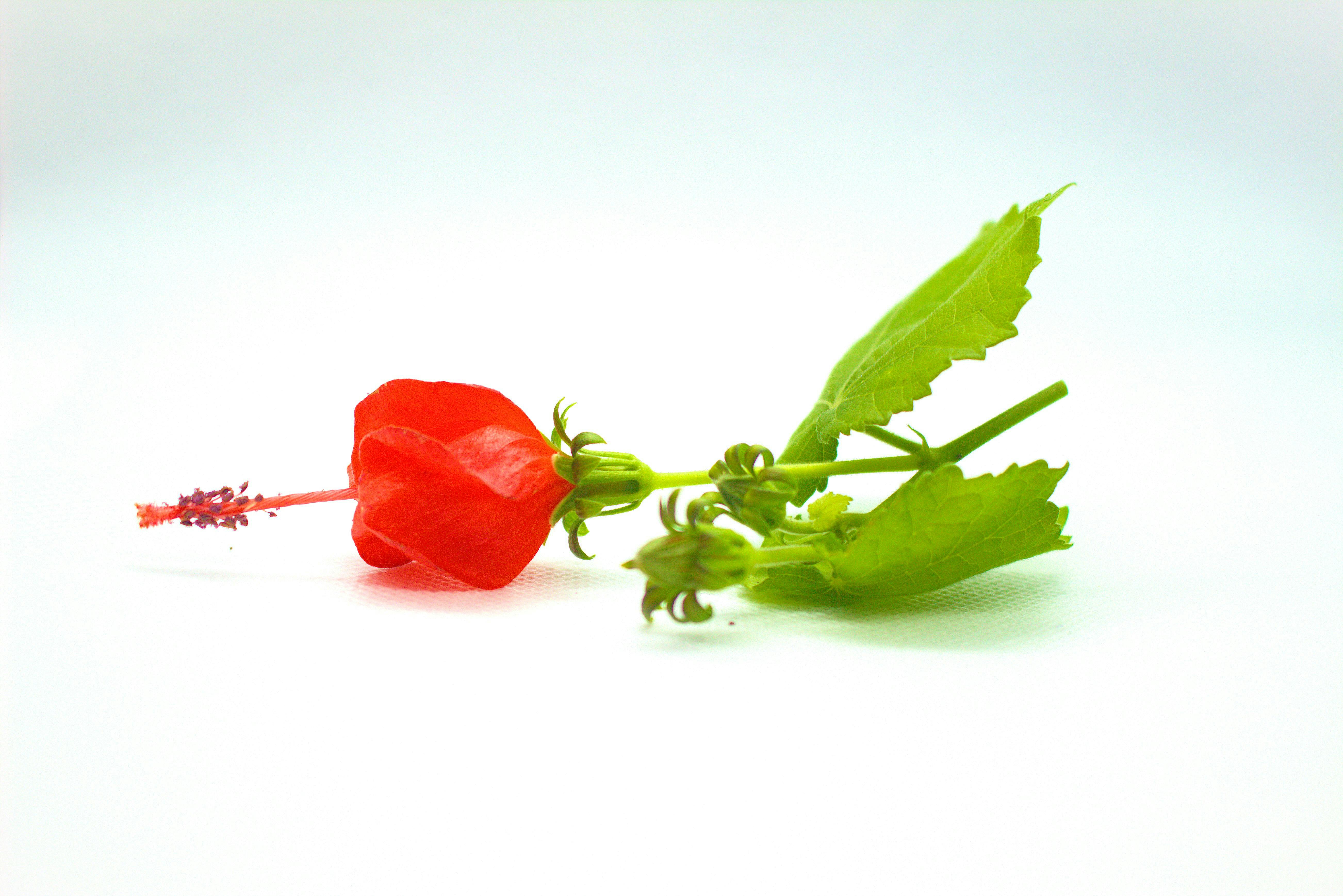 Marcus Goodman - Photography