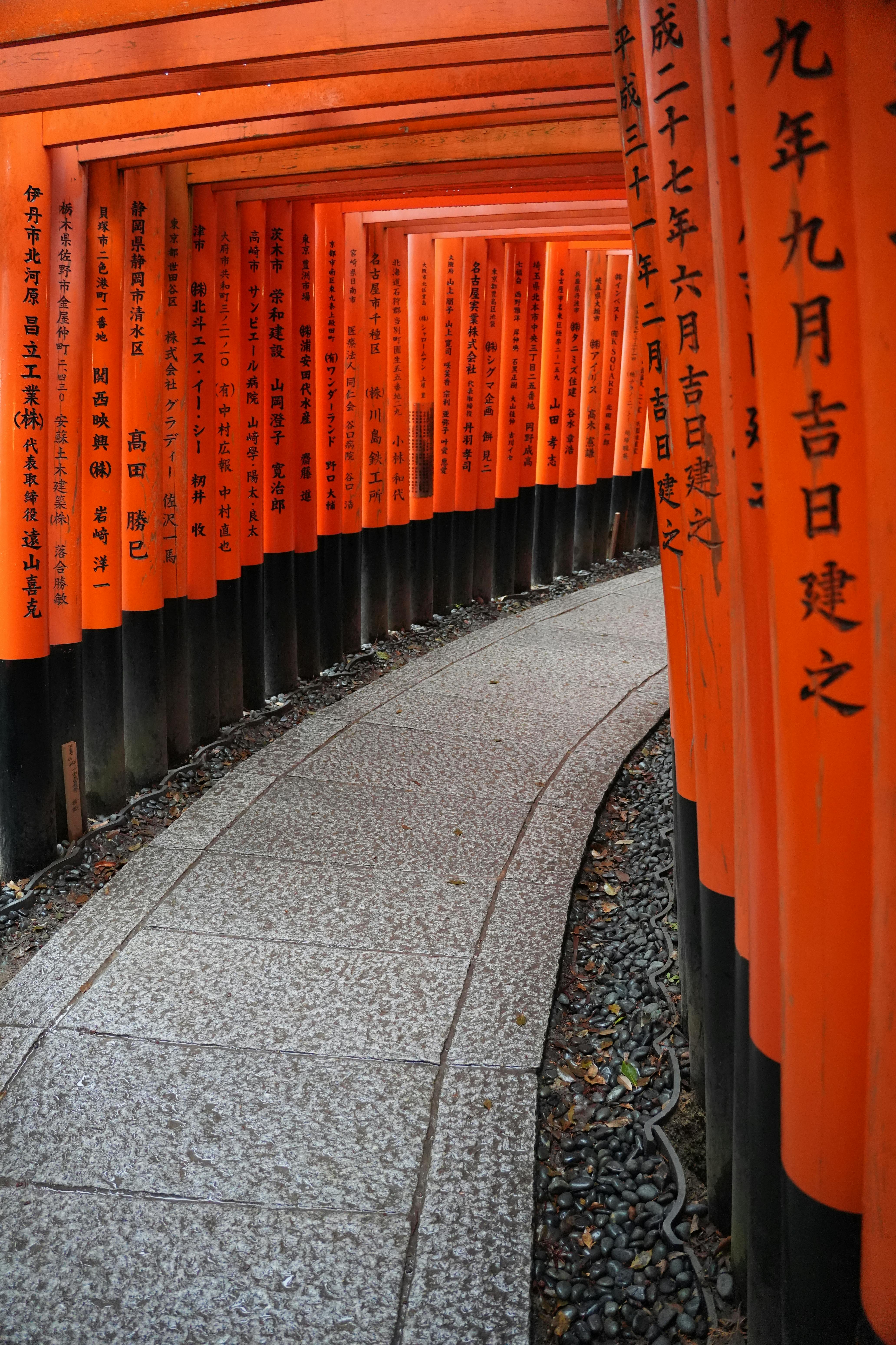 Photo of Walkway Between Shinto Shrine · Free Stock Photo