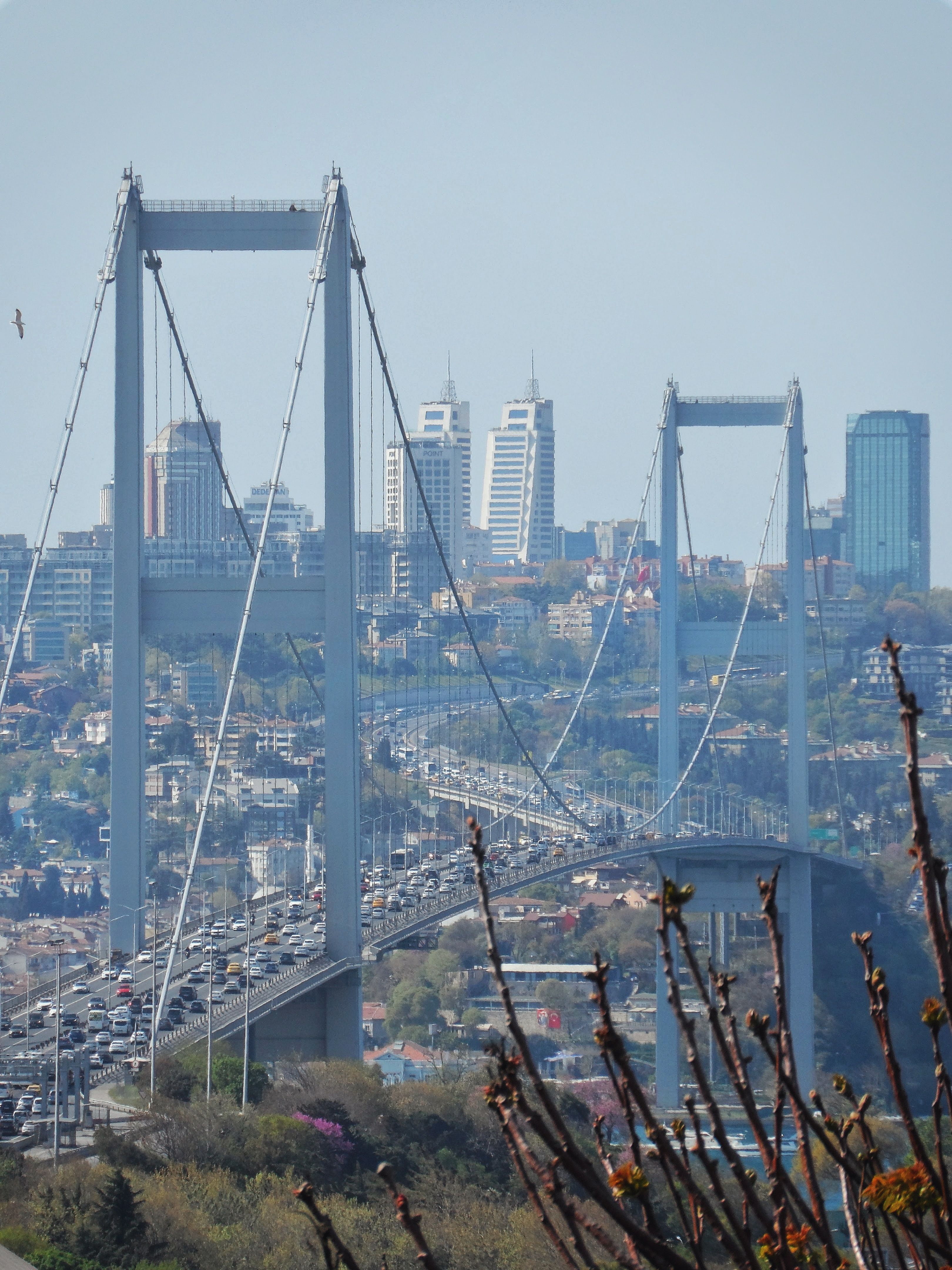 A Bridge in a City · Free Stock Photo