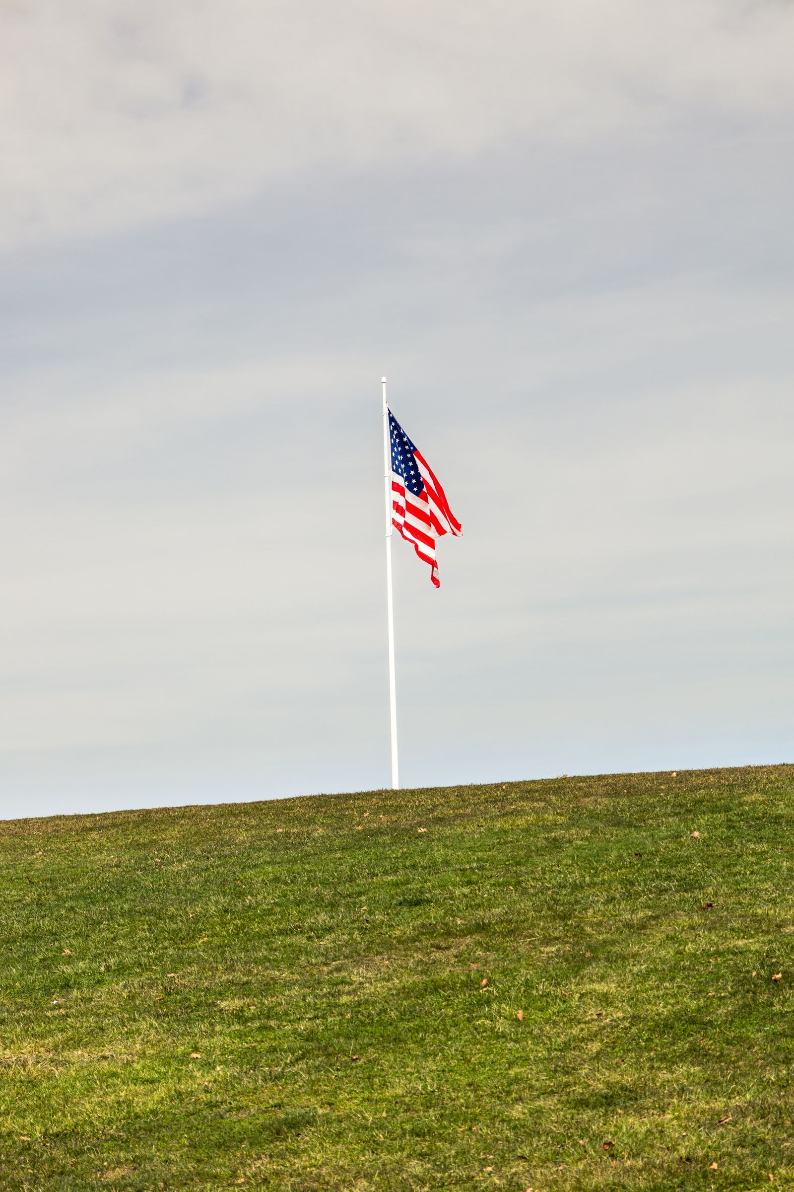10,000+ Best Flags Photos · 100% Free Download · Pexels Stock Photos