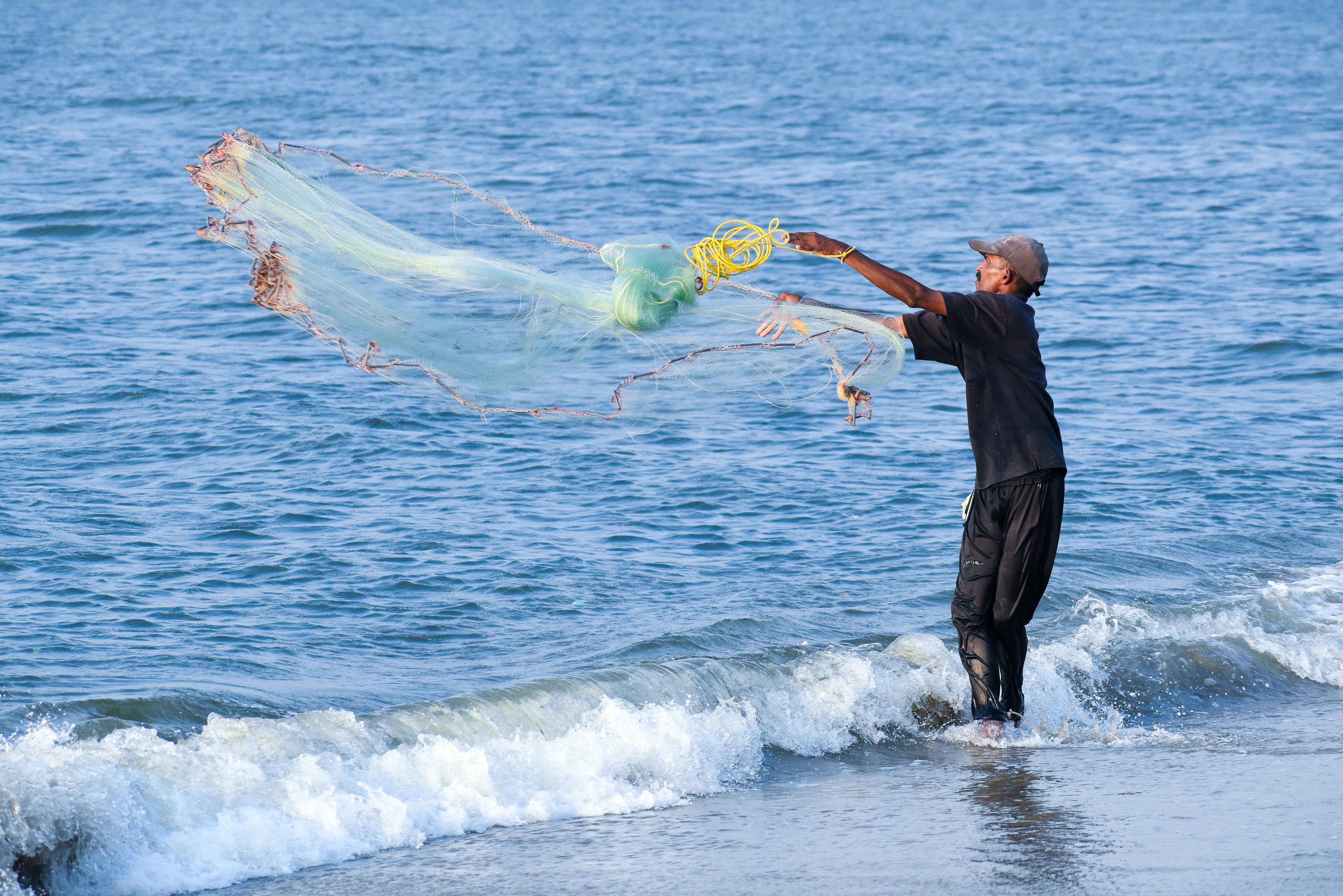 A man is holding a net in the water · Free Stock Photo