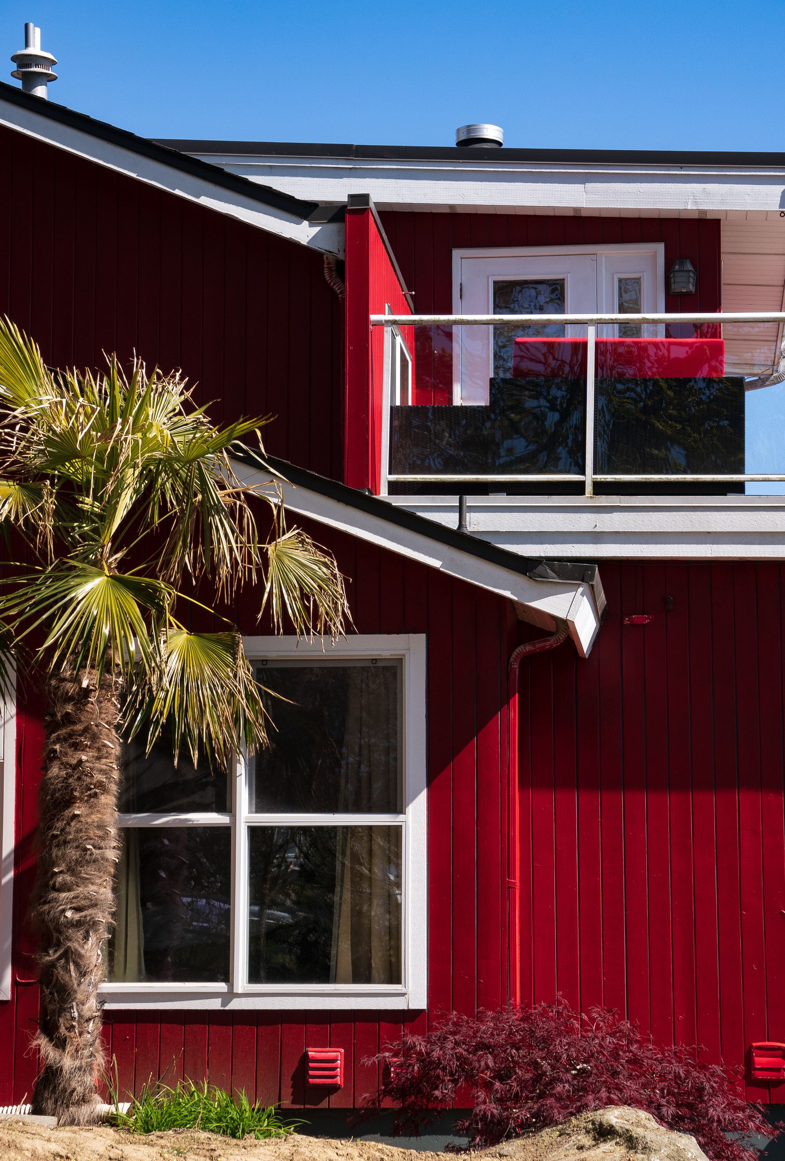 Palm Tree near House Wall · Free Stock Photo