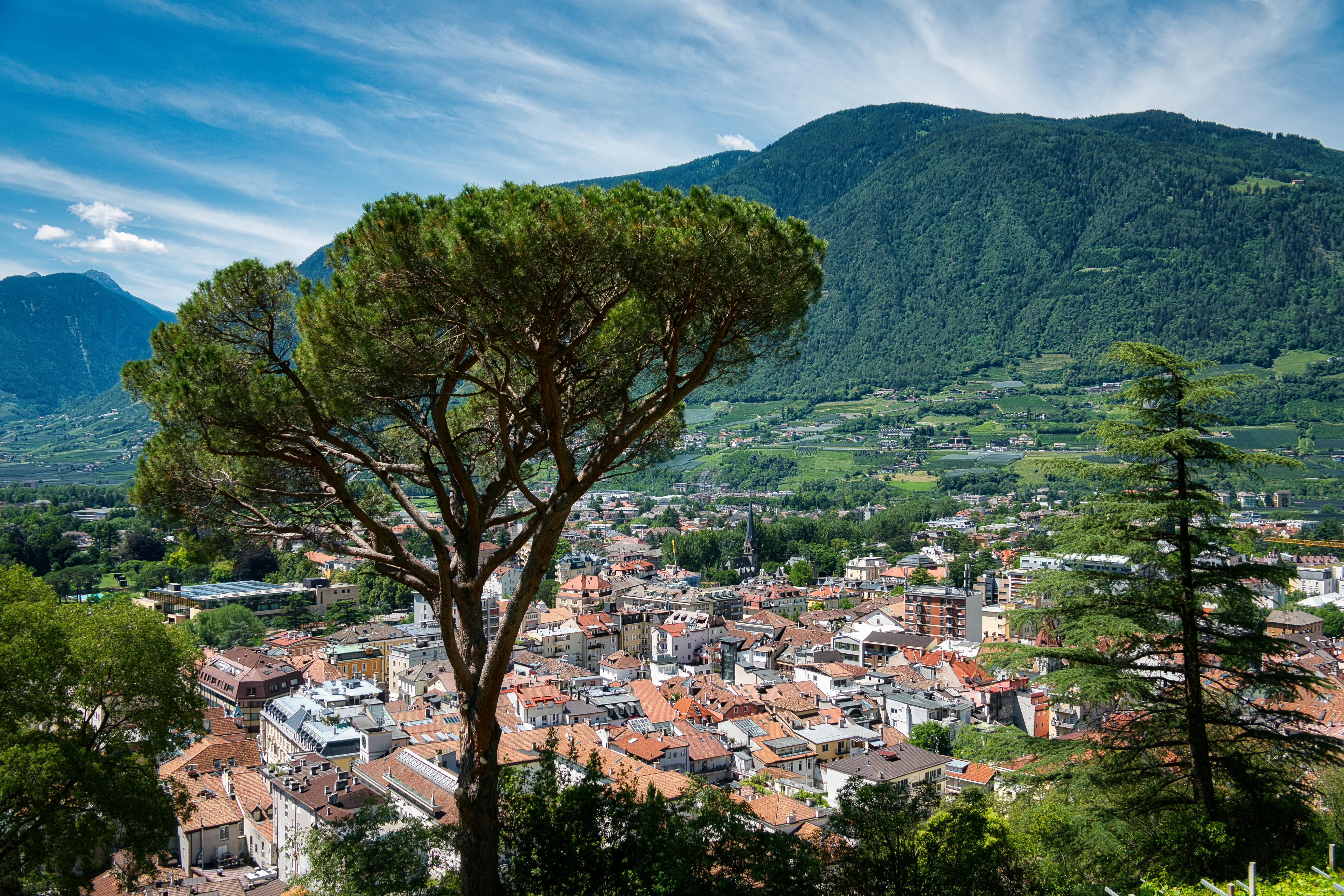 Merano in Summer · Free Stock Photo