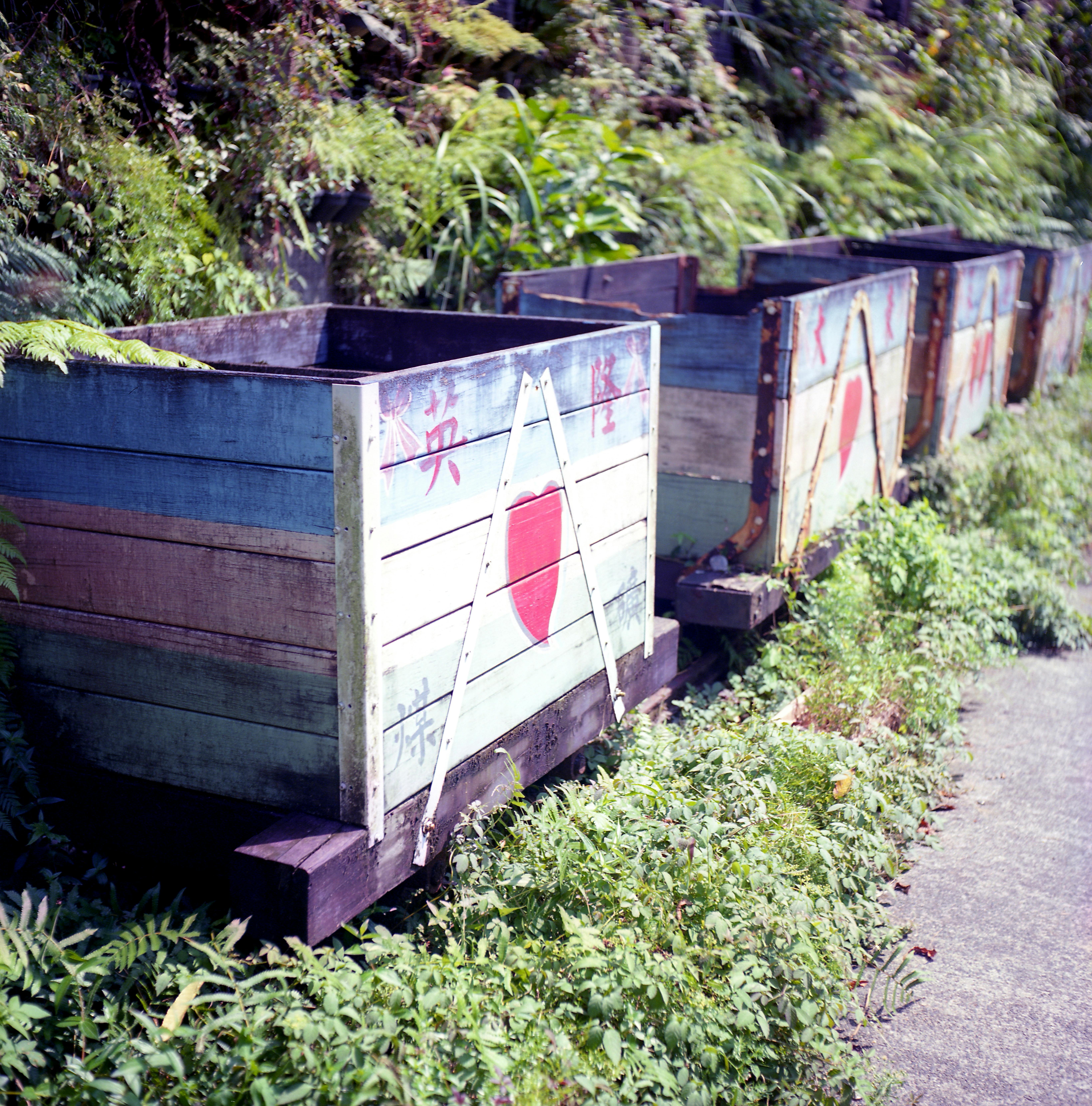 Abandoned, Wooden Boxes in Forest · Free Stock Photo