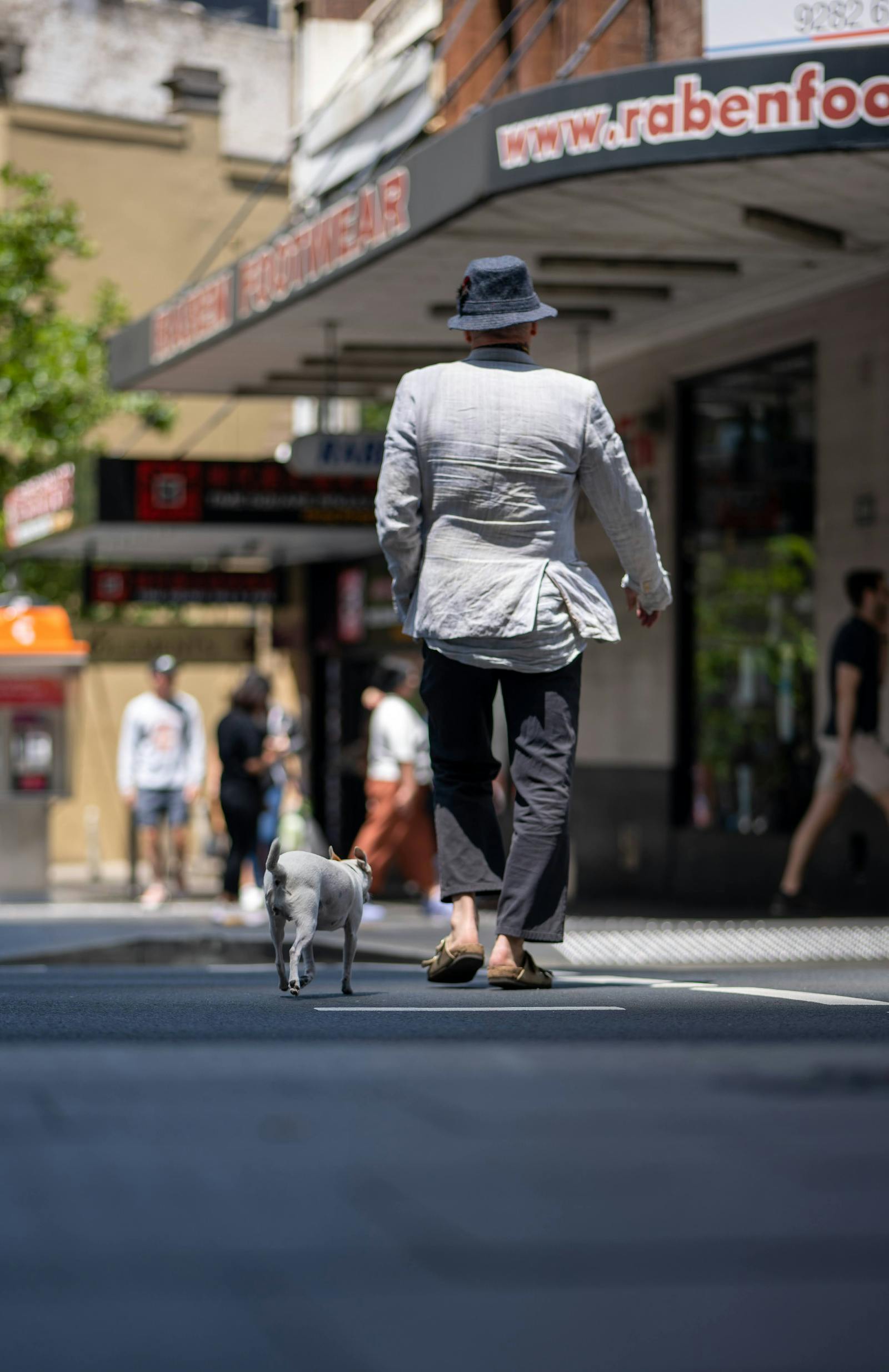 Bad Dog Photos, Download The BEST Free Bad Dog Stock Photos & HD Images