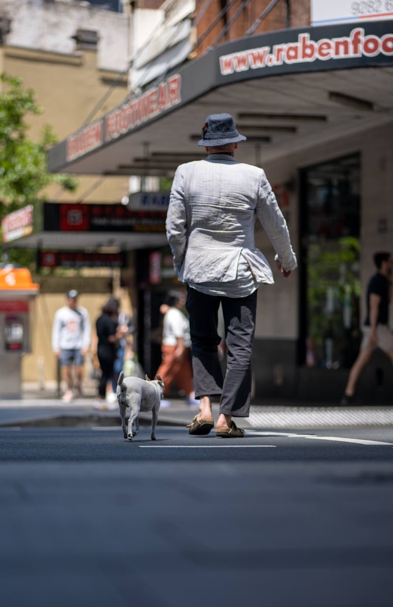 Bad Dog Photos, Download The BEST Free Bad Dog Stock Photos & HD Images