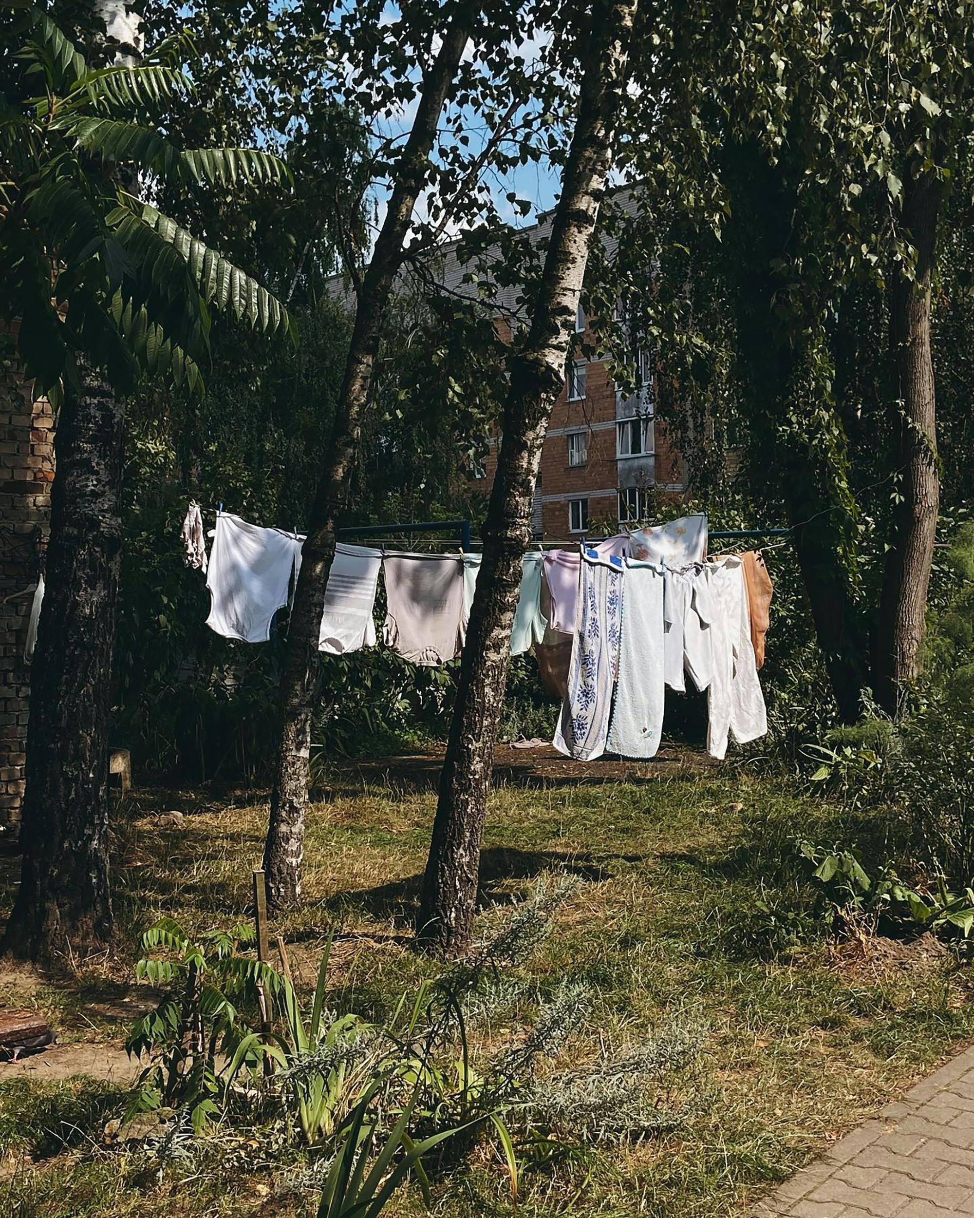 A clothesline with clothes hanging in the trees · Free Stock Photo