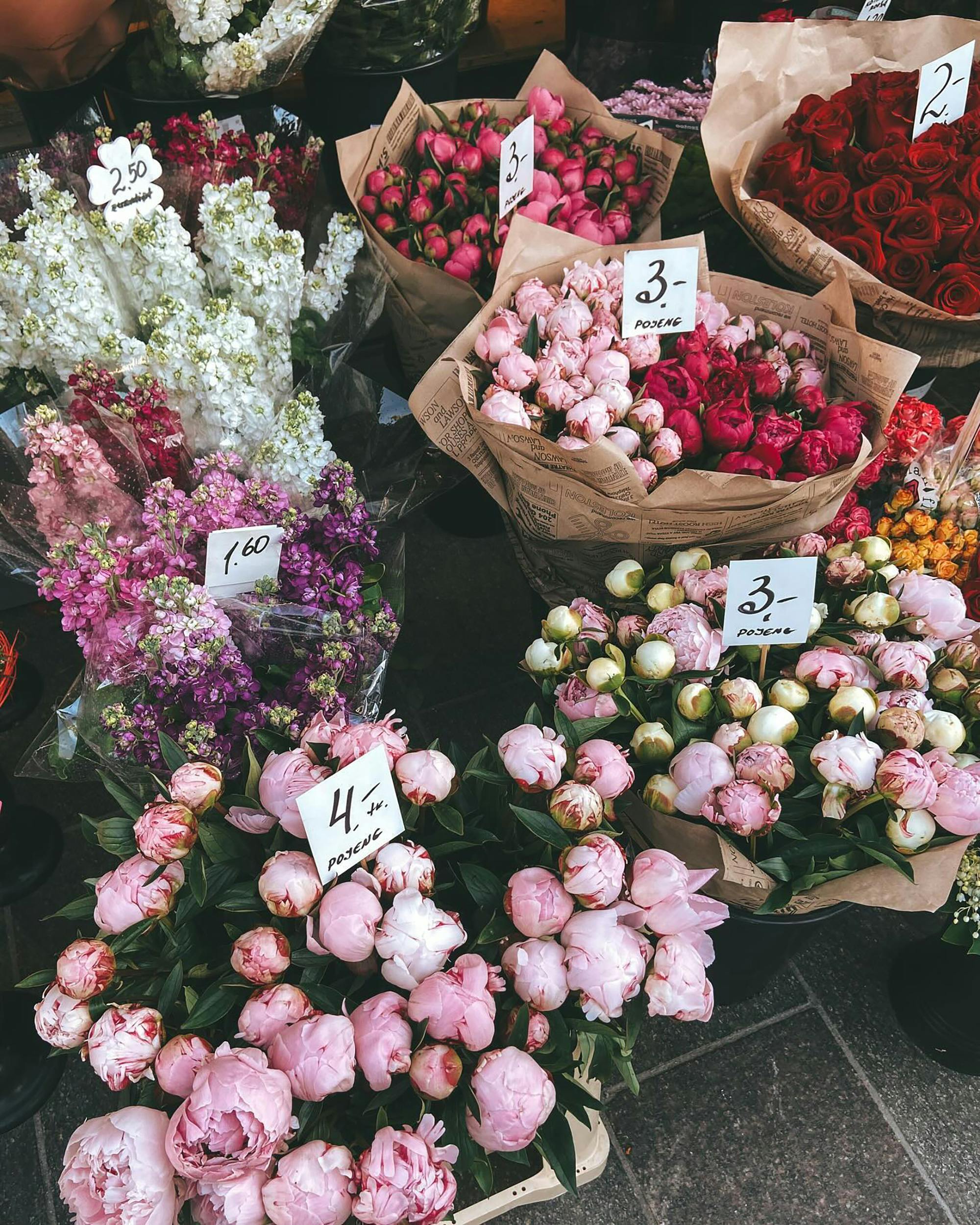 Colorful Flowers Selection at Florist · Free Stock Photo