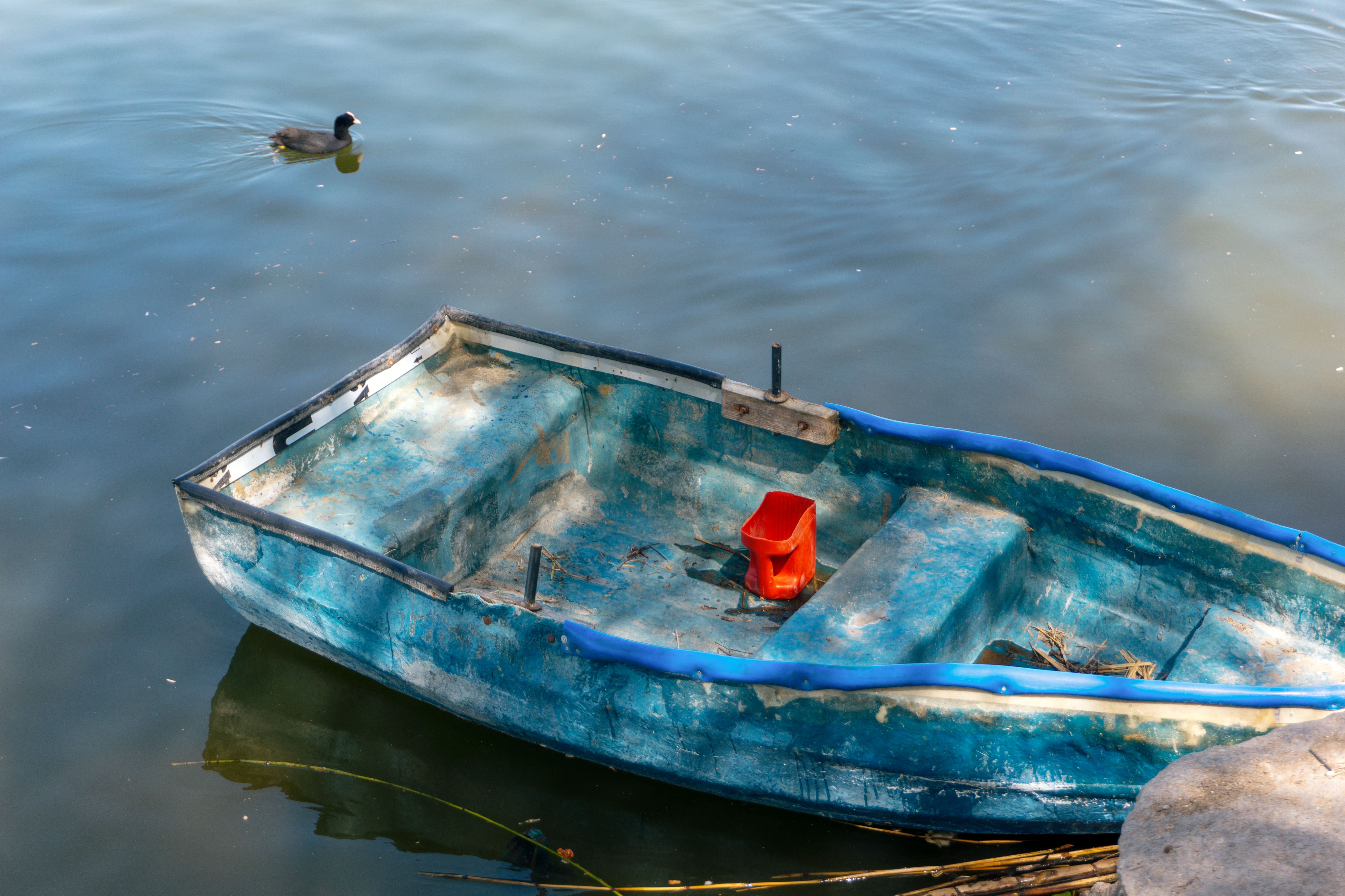 Blue Boat by the Shore · Free Stock Photo