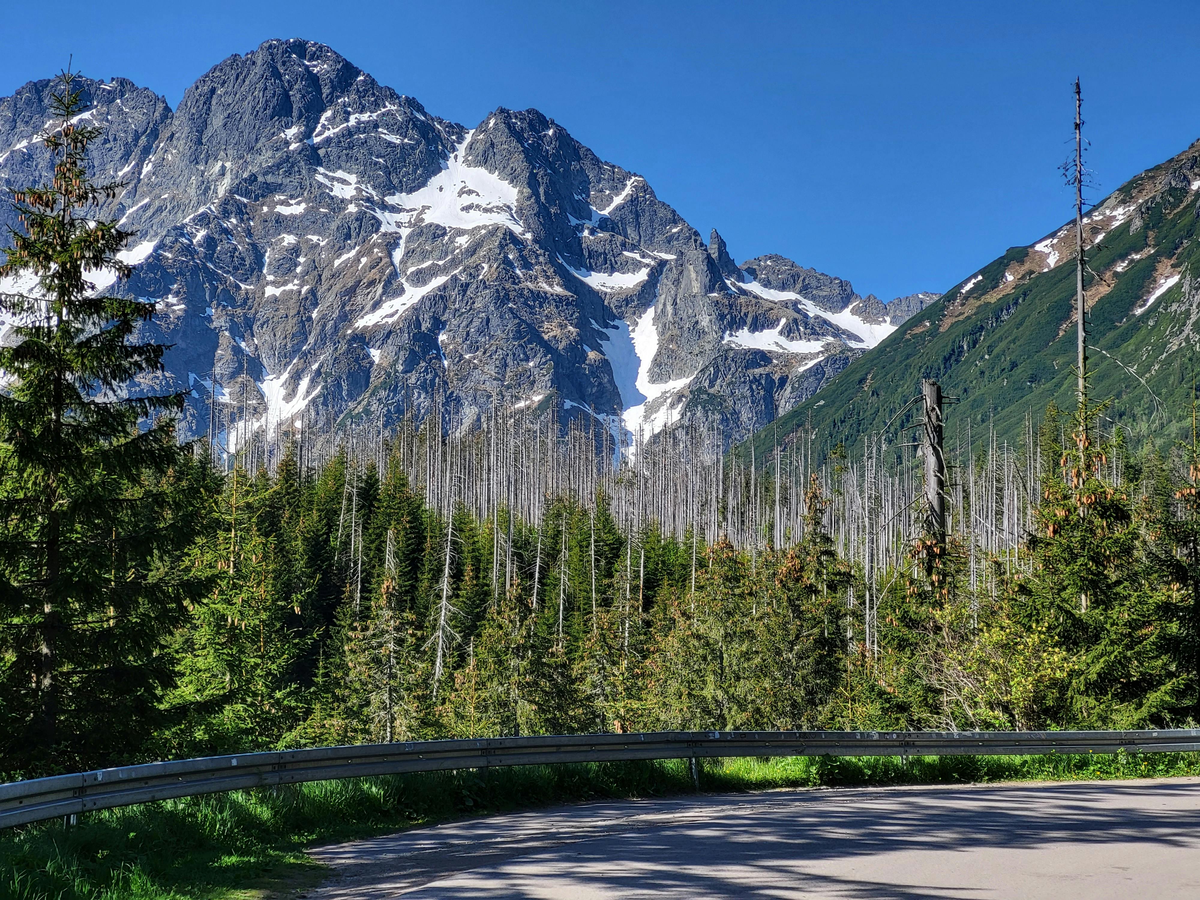 1000000k Wallpaper Photos, Download The BEST Free 1000000k Wallpaper ...