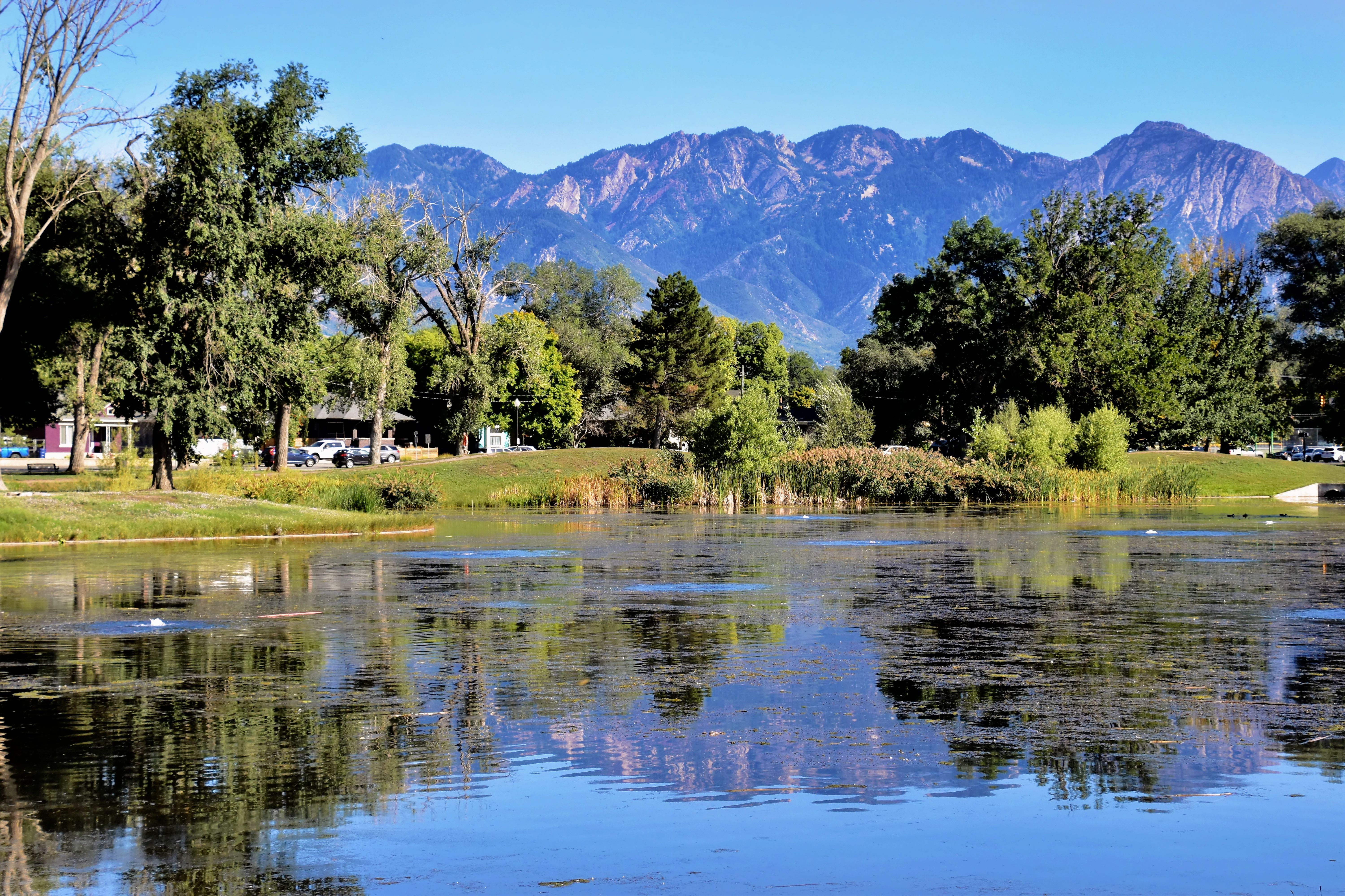 View of a Lake · Free Stock Photo