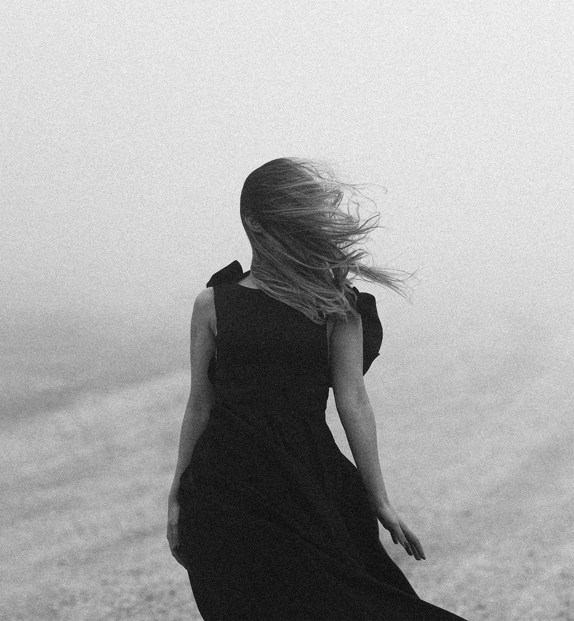 Windy Bee Photos, Download The BEST Free Windy Bee Stock Photos & HD Images