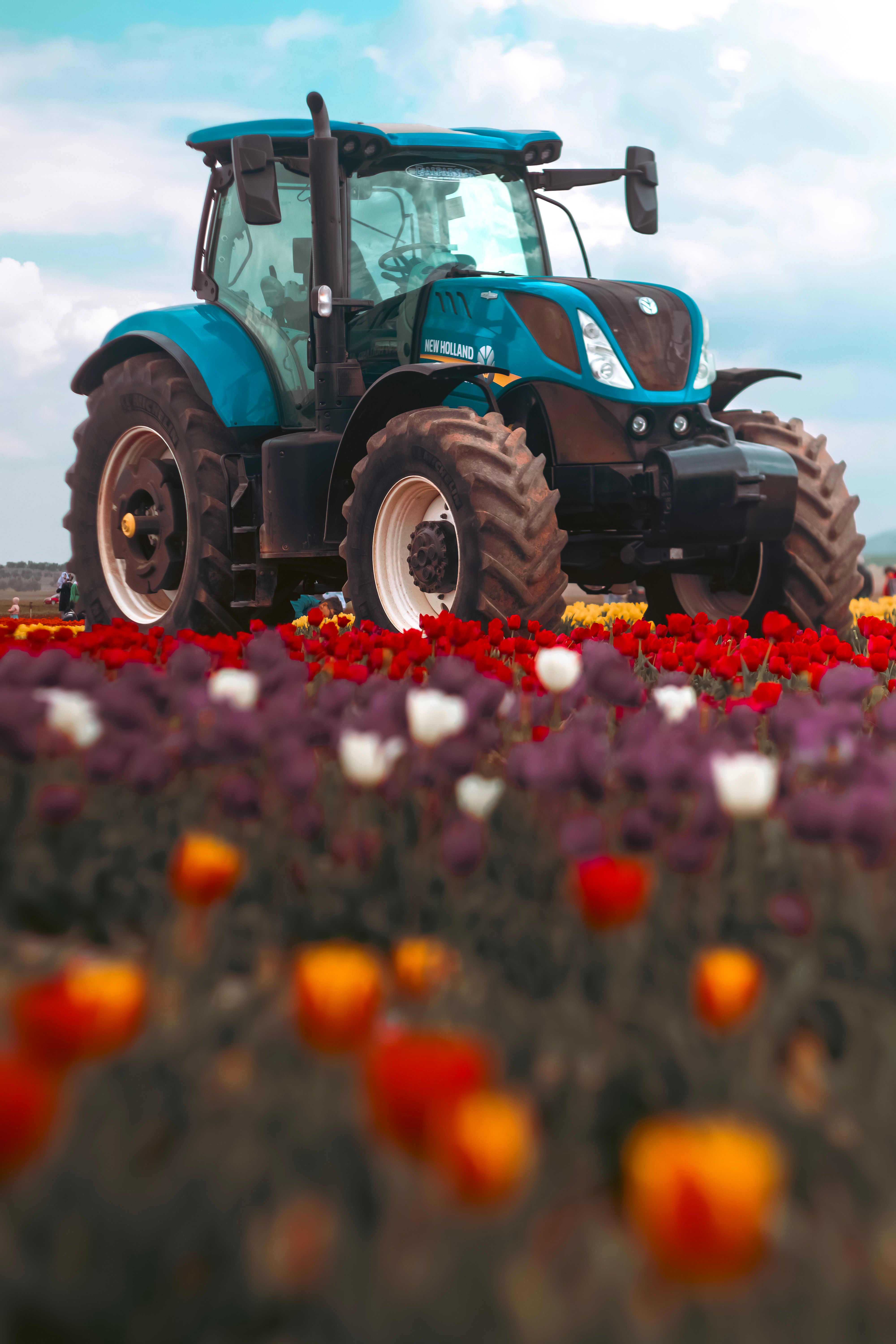 Tractor on a Tulip Field · Free Stock Photo