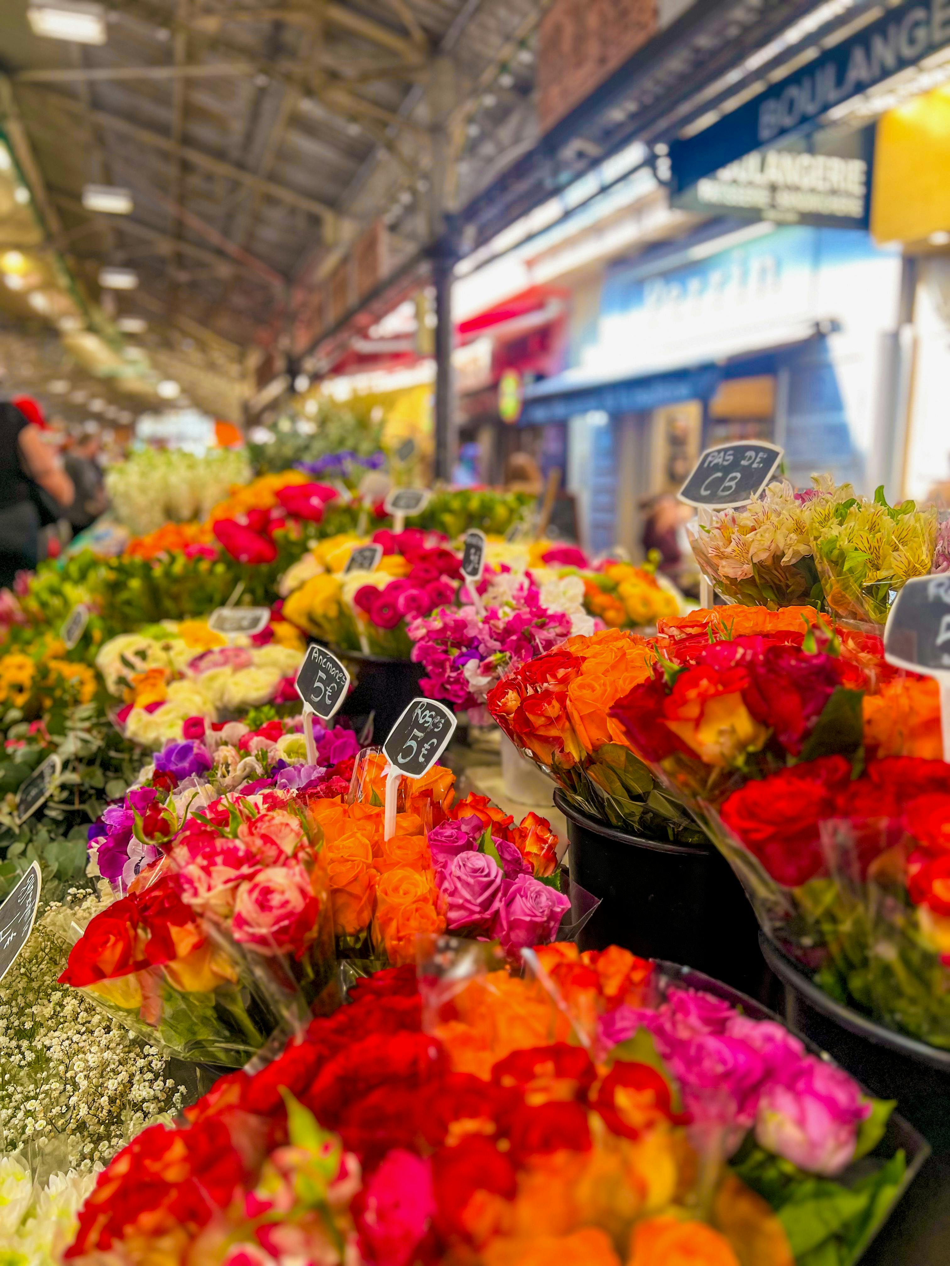 Kate Branch - Photography