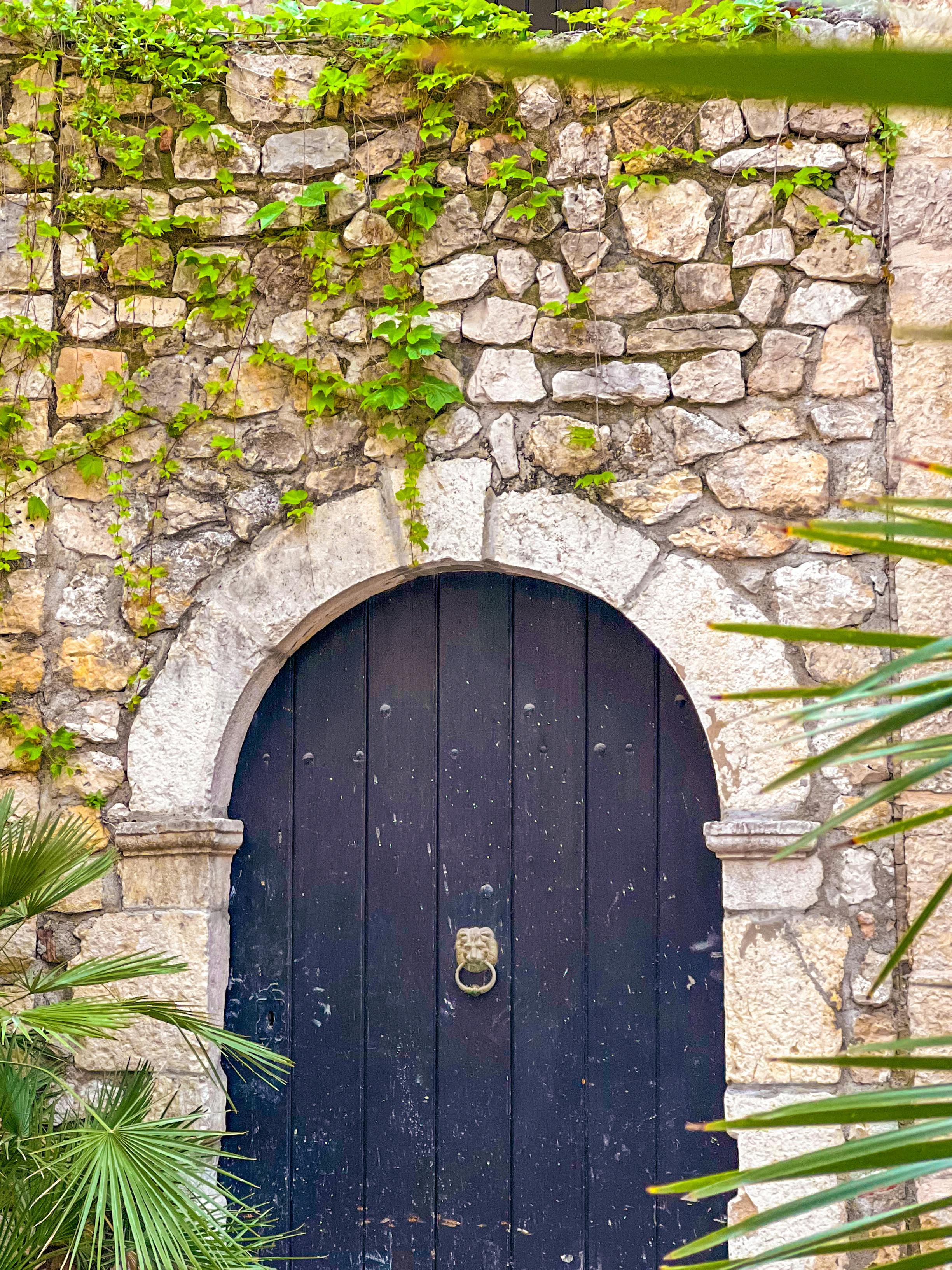 Kate Branch - Photography