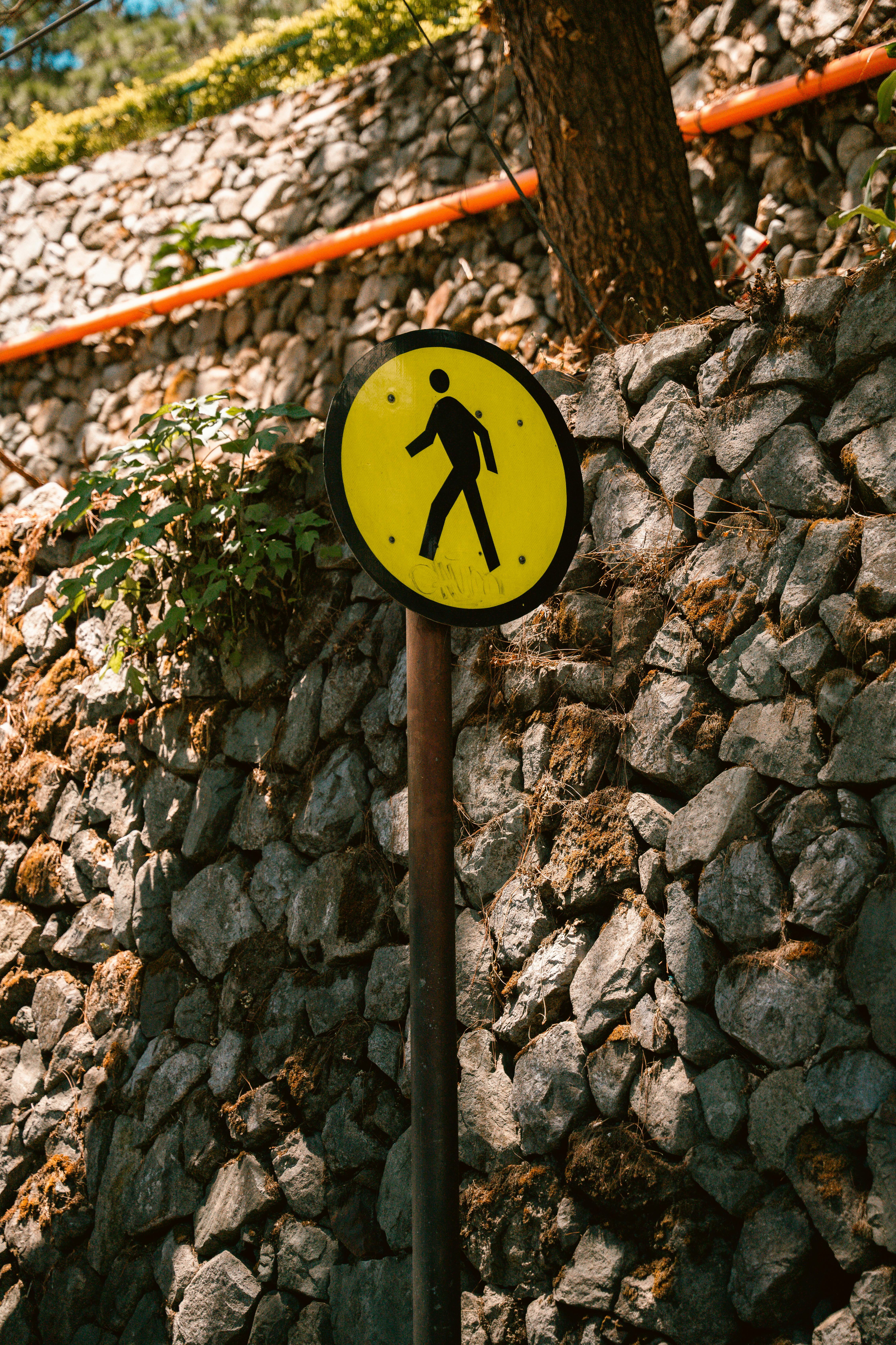 Yellow Crosswalk Sign · Free Stock Photo