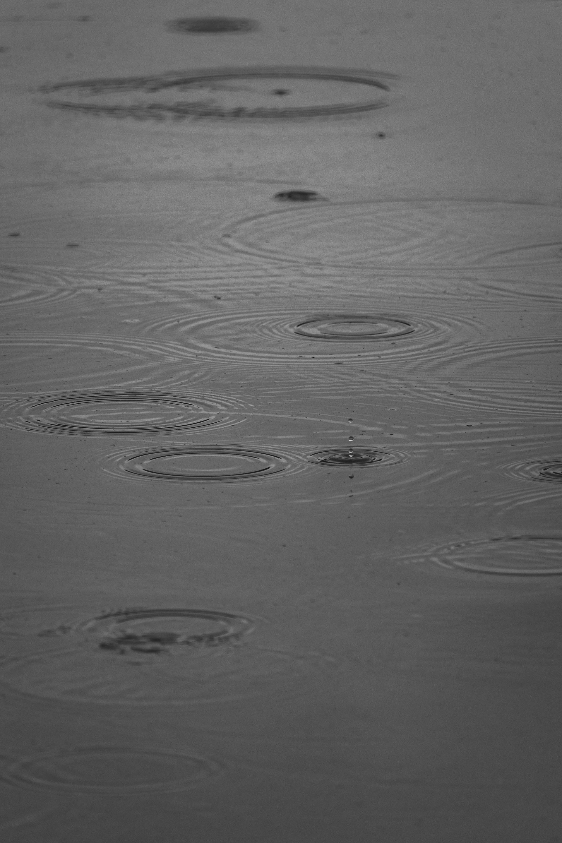 Ripple Effect on the Water · Free Stock Photo