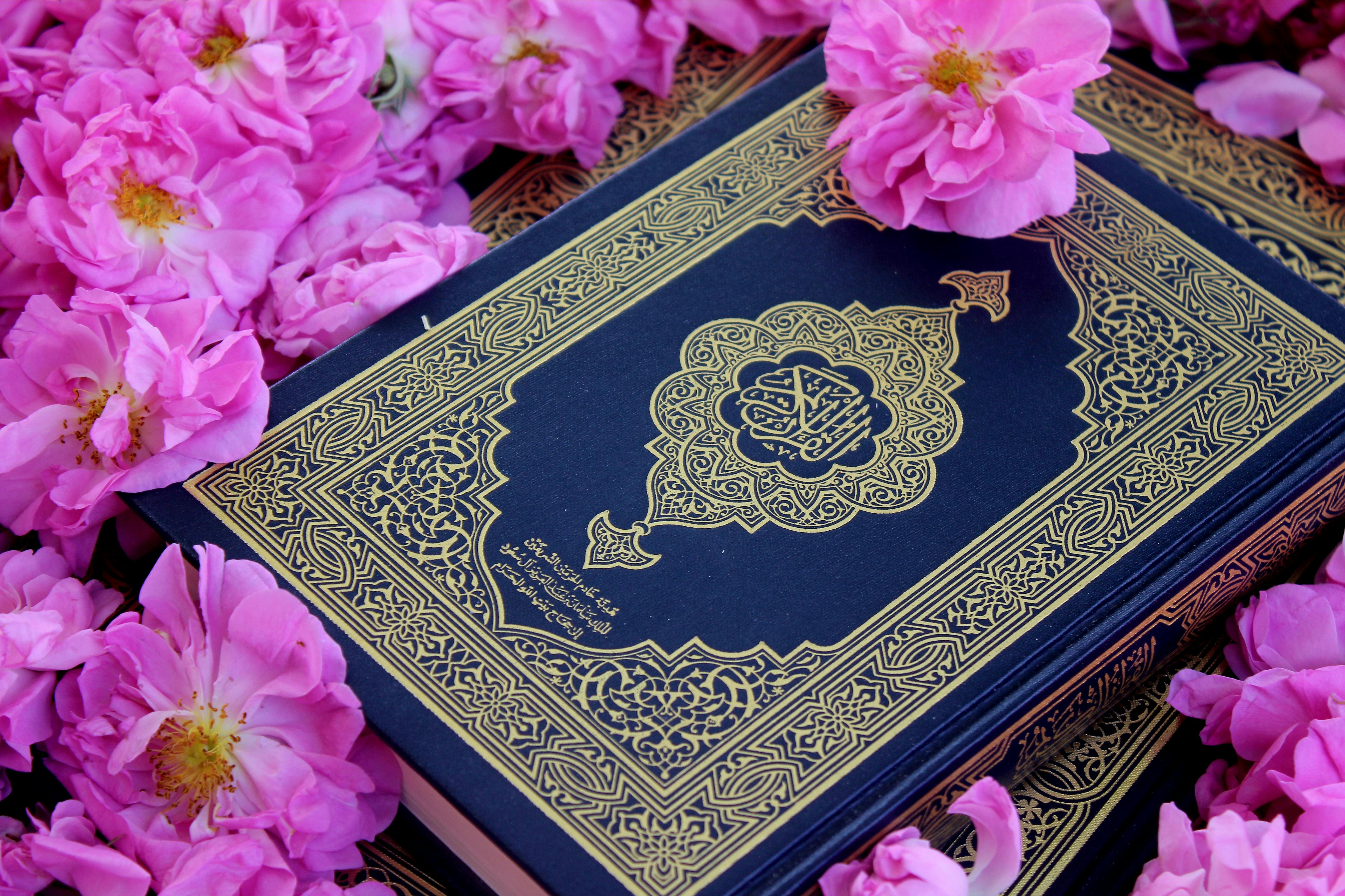 Roses With Quran Photos, Download The BEST Free Roses With Quran Stock ...
