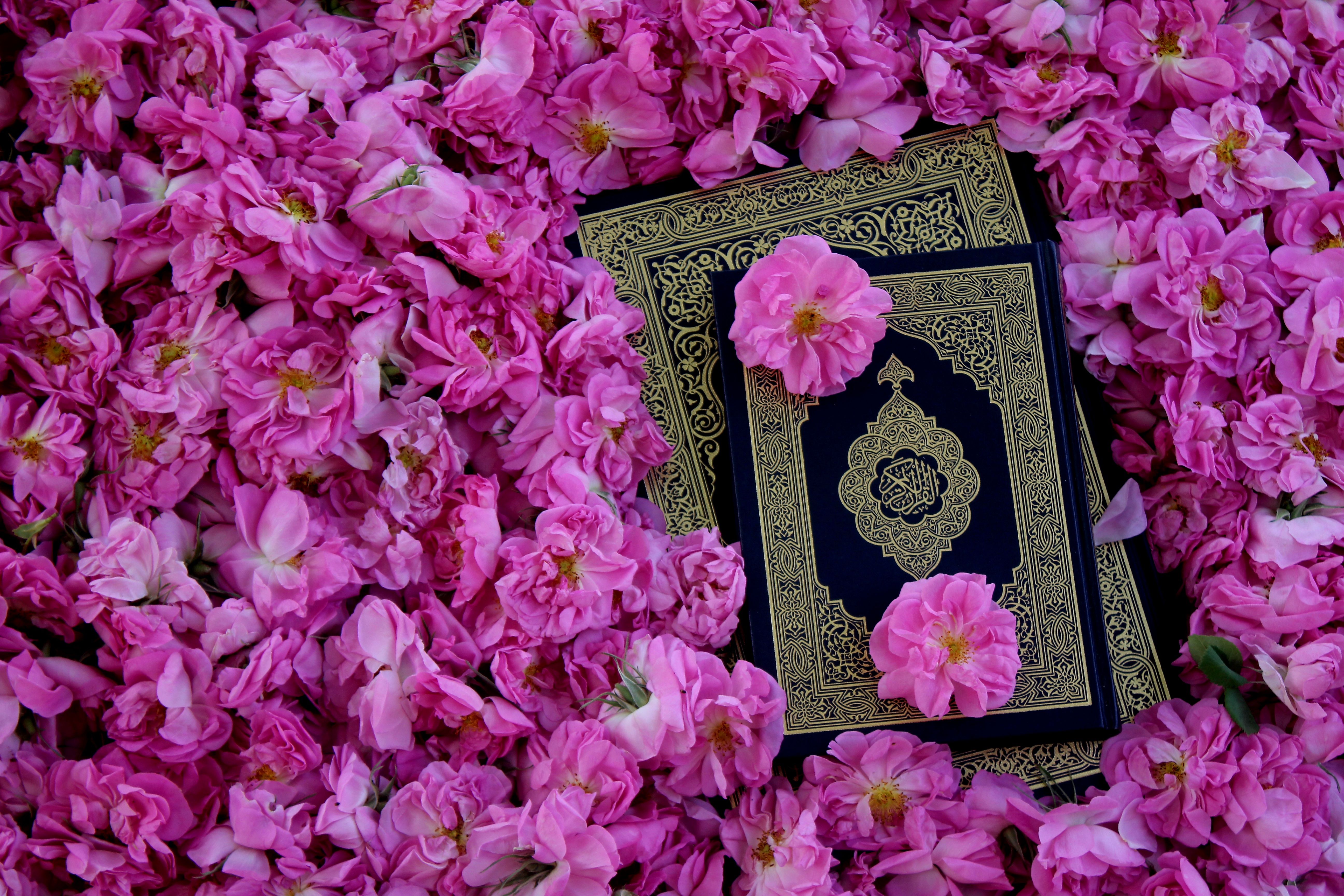 Aesthetic Quran And Flowers Photos, Download The BEST Free Aesthetic ...