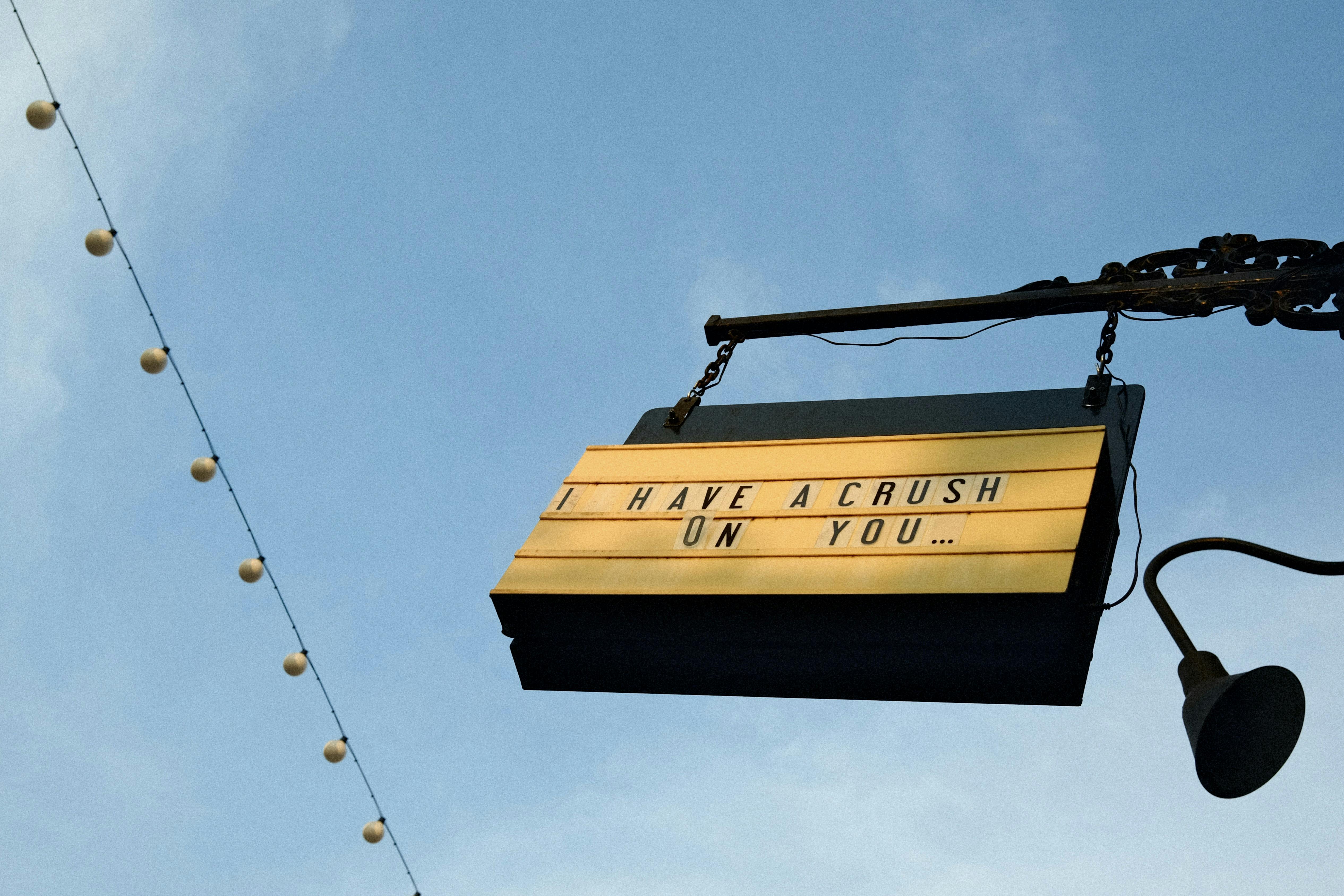 Light Bulb On Board Photos, Download The BEST Free Light Bulb On Board ...