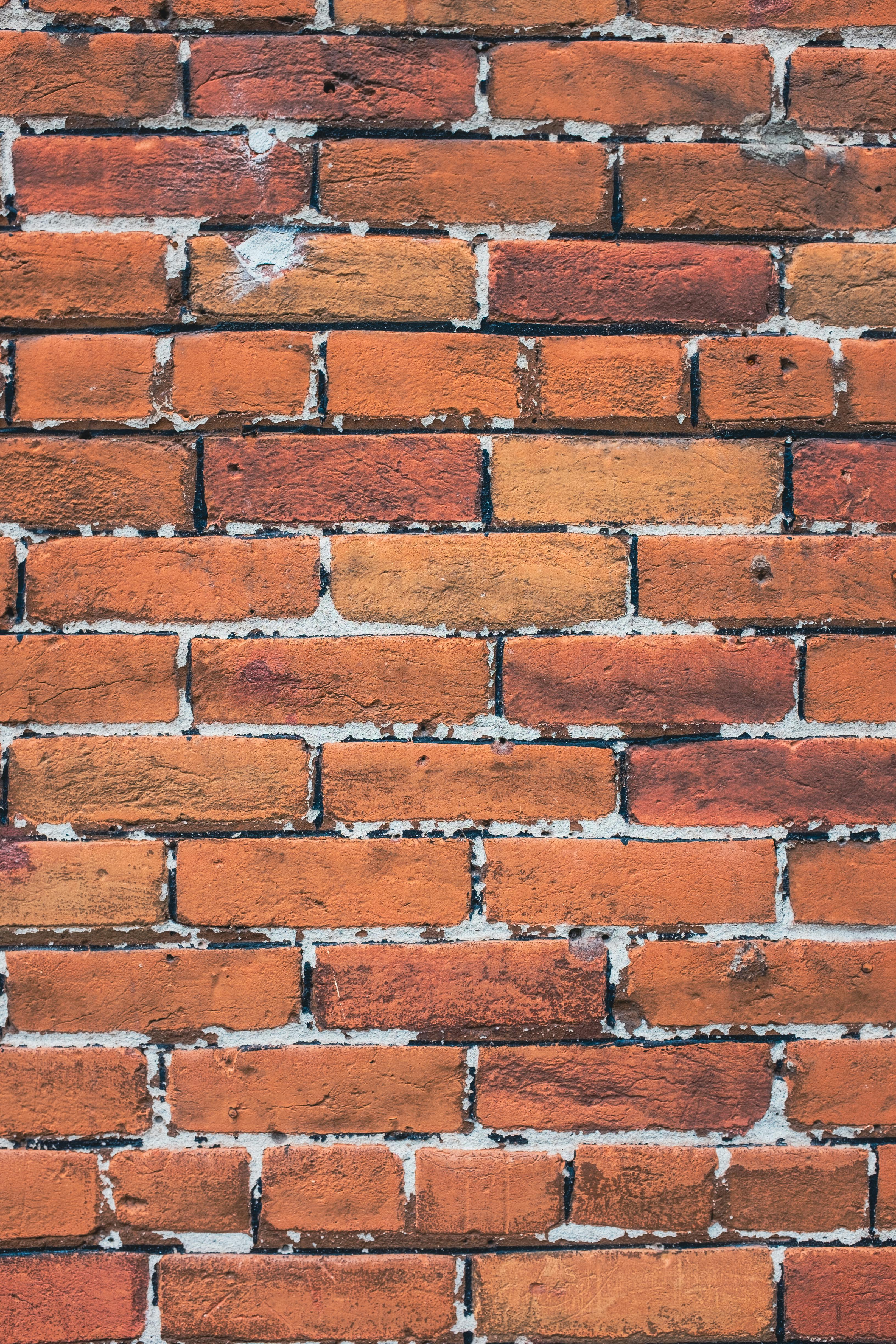 Close up of Bricks on Wall · Free Stock Photo