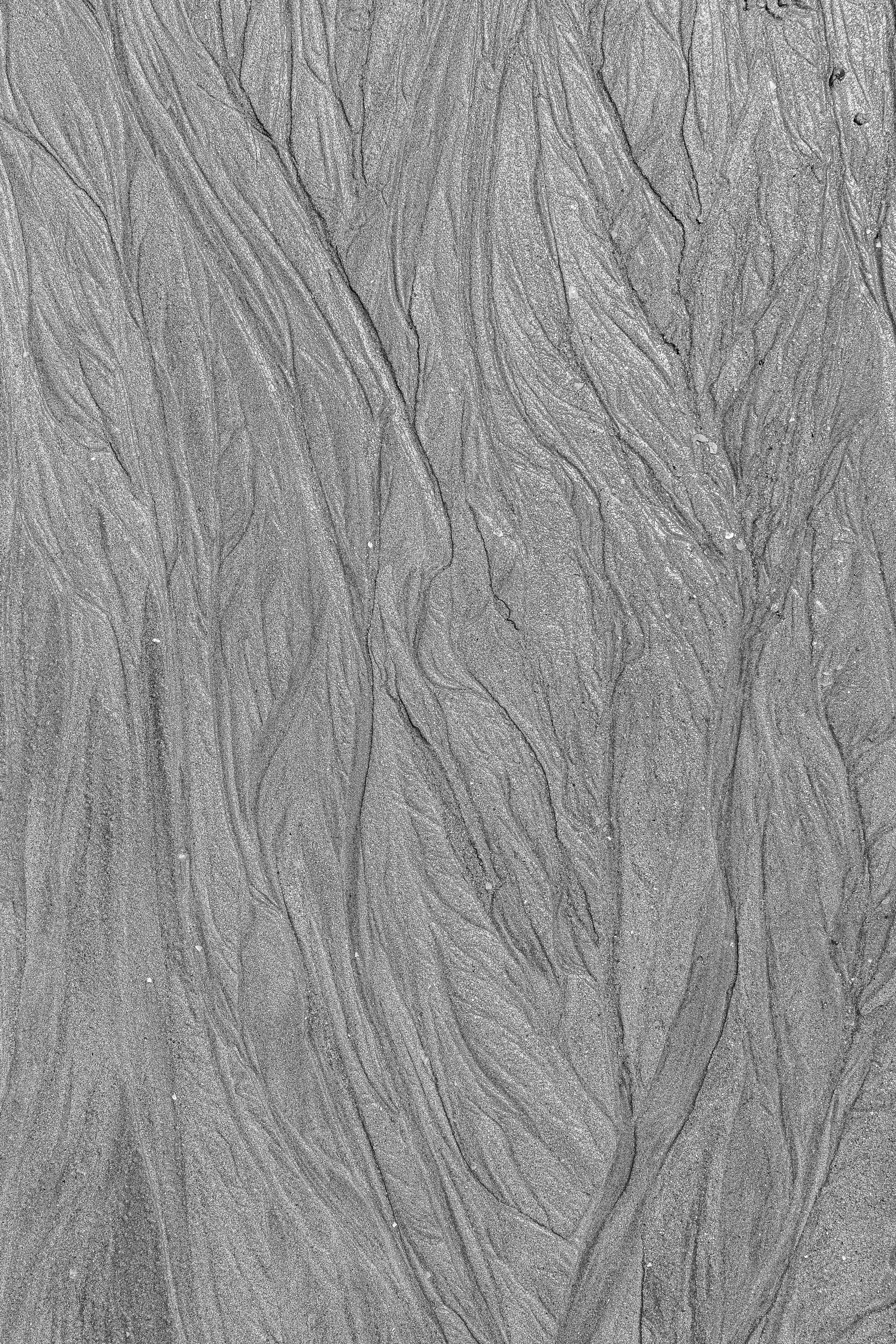 Lumpy Texture Photos, Download The BEST Free Lumpy Texture Stock Photos ...