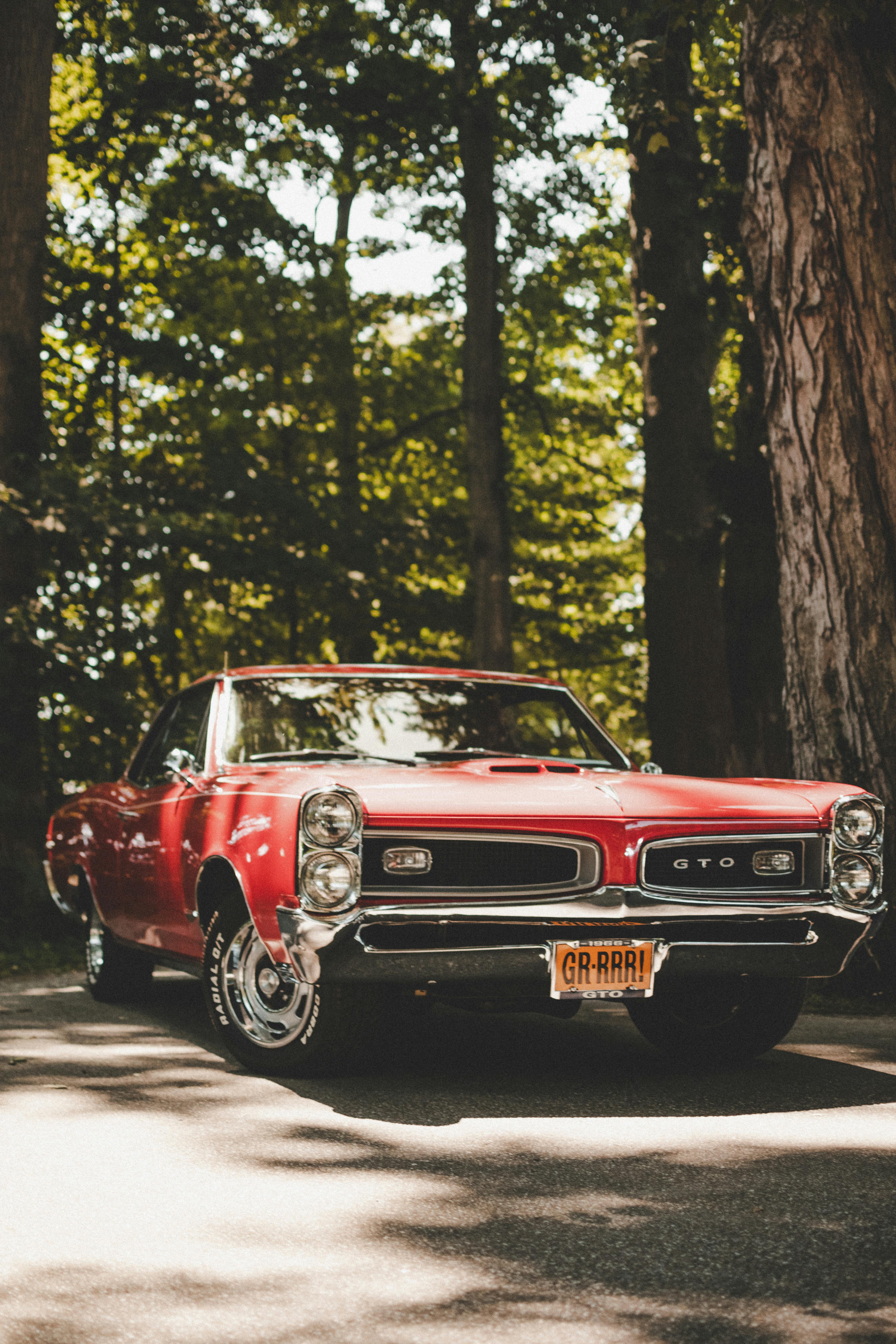 Gto Photos, Download The BEST Free Gto Stock Photos & HD Images