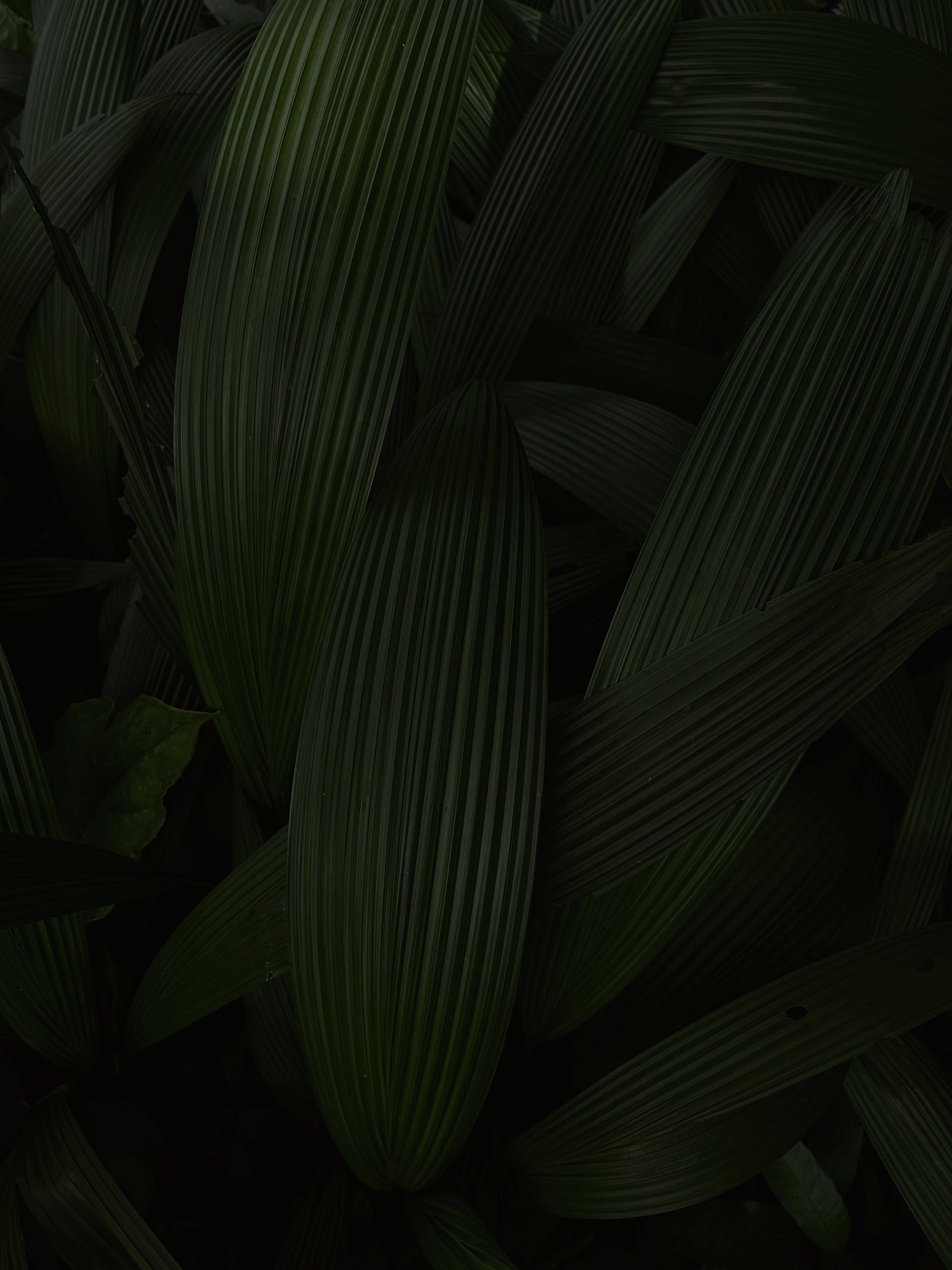 Texture Nature Photos, Download The BEST Free Texture Nature Stock ...