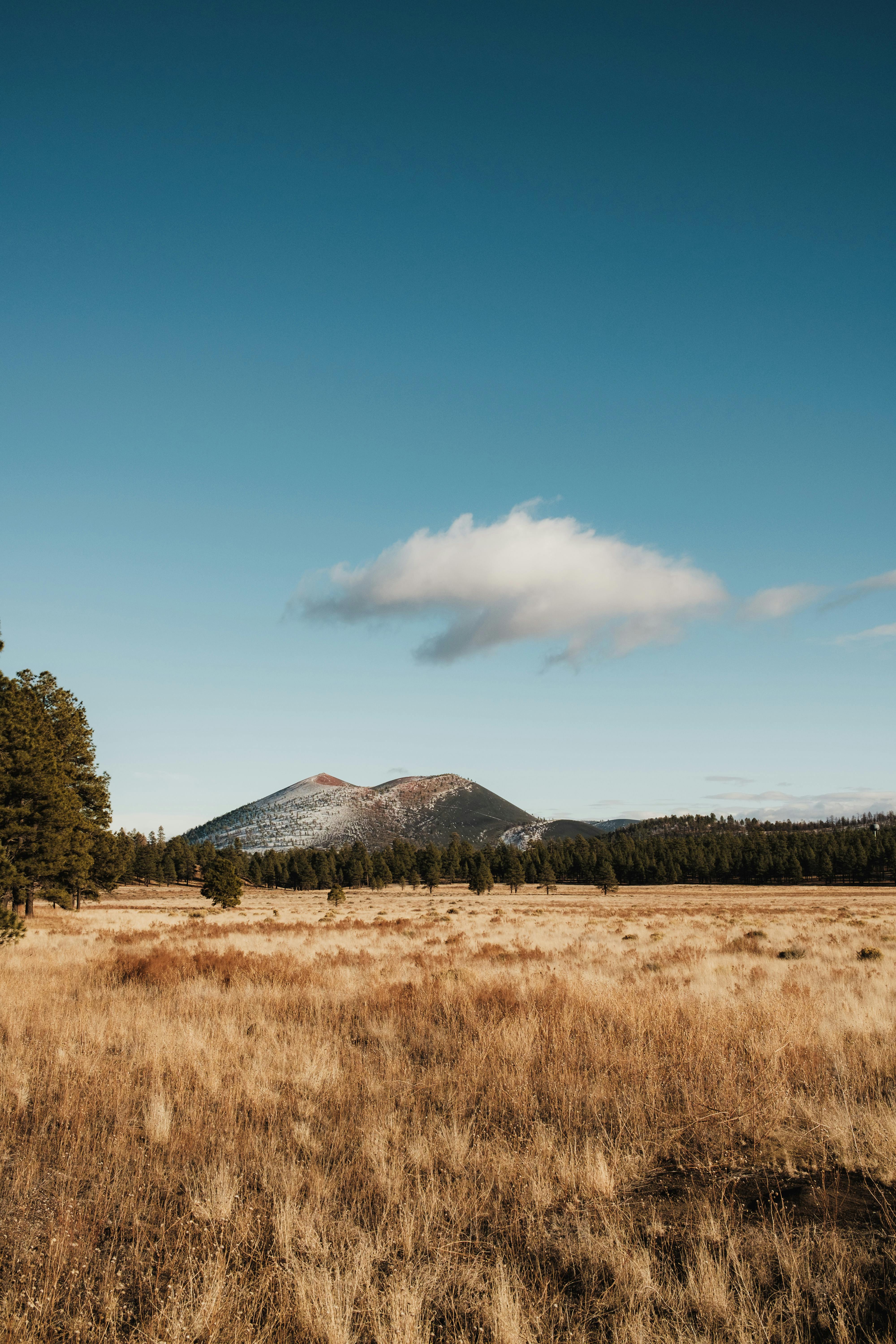 Foto profissional gratuita de ao ar livre, beleza natural, calma, calmo ...