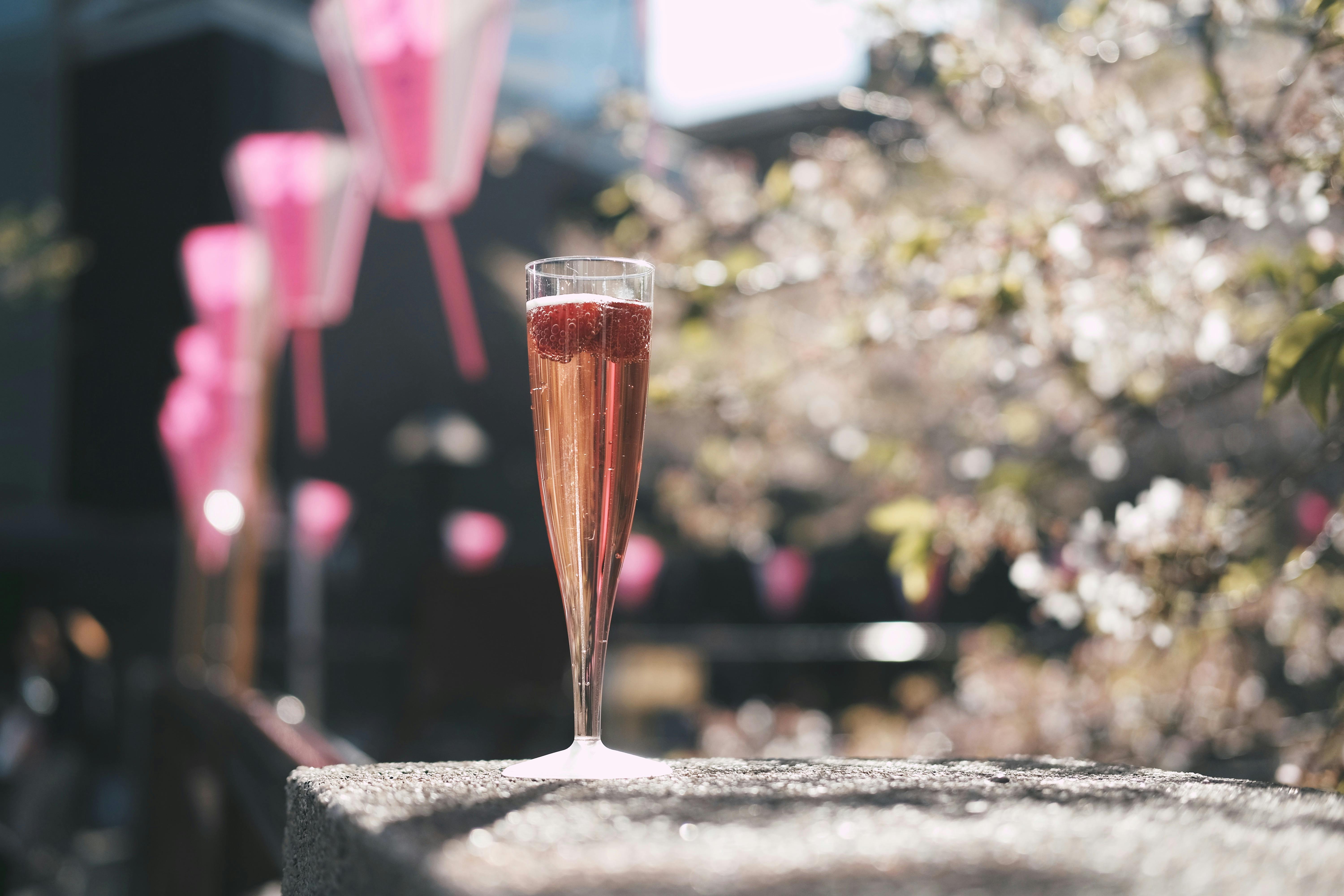 Japan Wine Photos, Download The BEST Free Japan Wine Stock Photos & HD ...